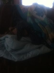 Fort Making : 10 Steps - Instructables