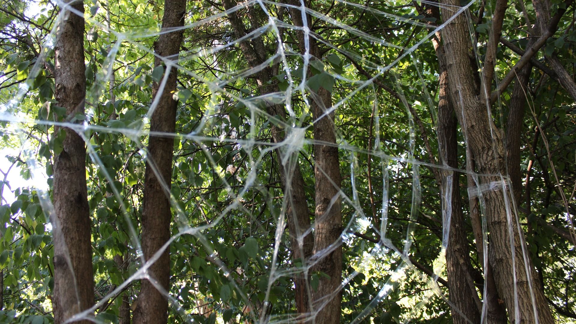 Giant Spider Web : 9 Steps (with Pictures) - Instructables
