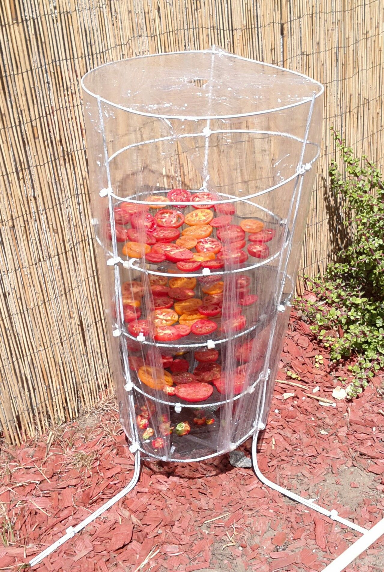 Easy Tomato Drying Rack. : 7 Steps (with Pictures) - Instructables