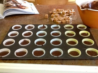 Cockroach Cupcakes (with Pictures) - Instructables