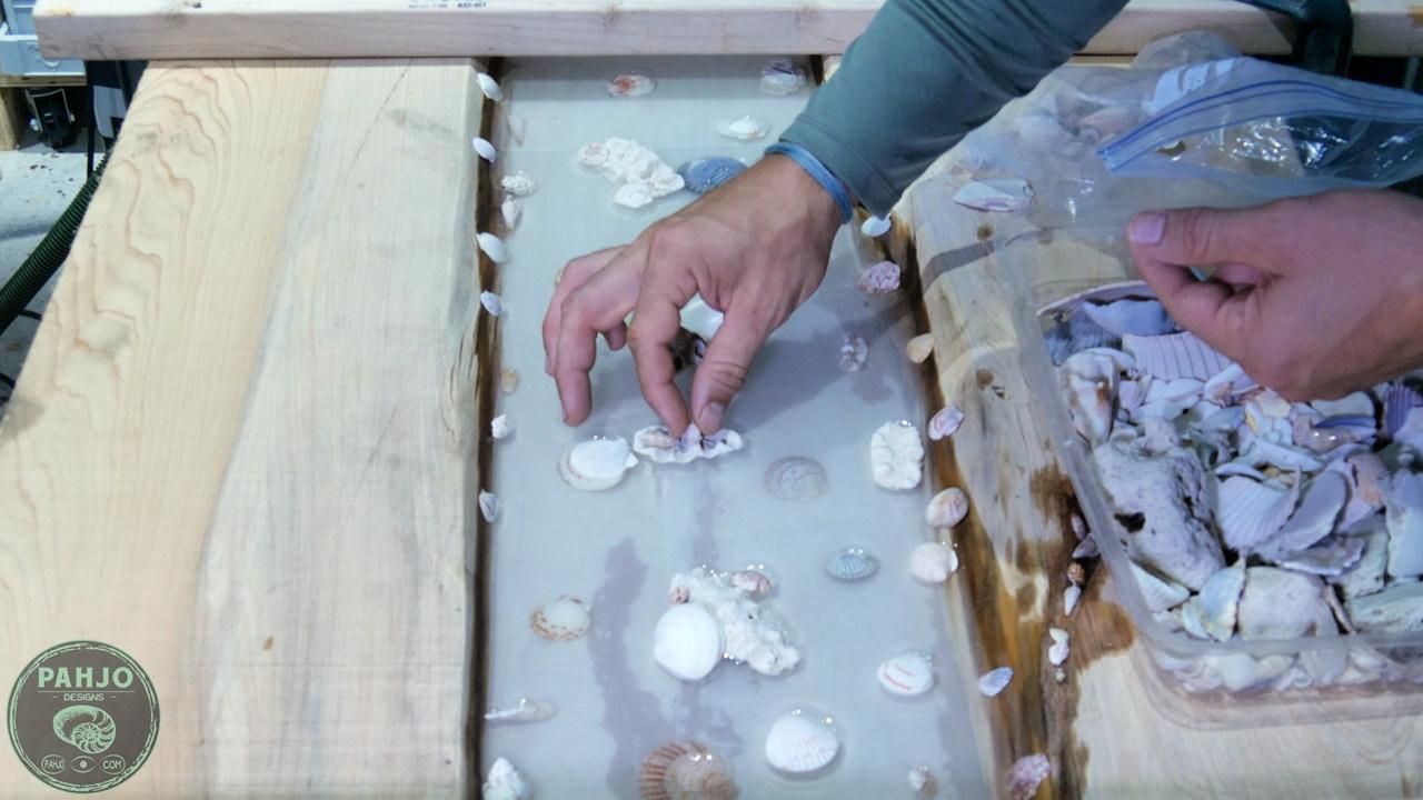 How to Set Seashells in Resin : 10 Steps (with Pictures) - Instructables