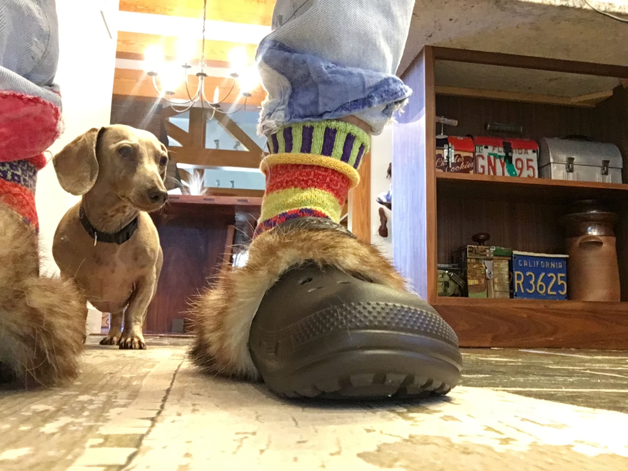 Fur Lined Crocs : 8 Steps (with Pictures) - Instructables