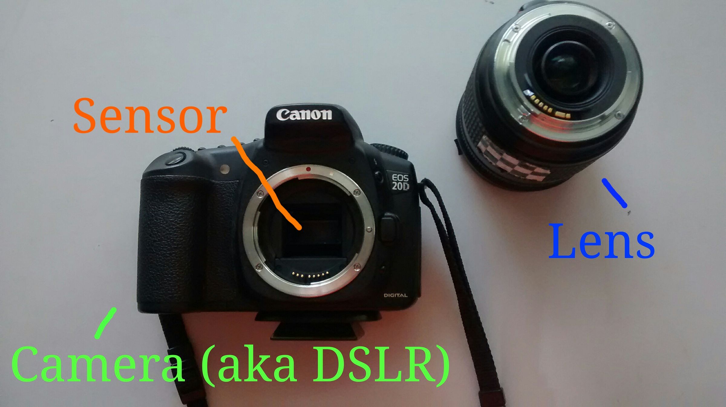A Beginners Guide to a DSLR : 13 Steps (with Pictures) - Instructables