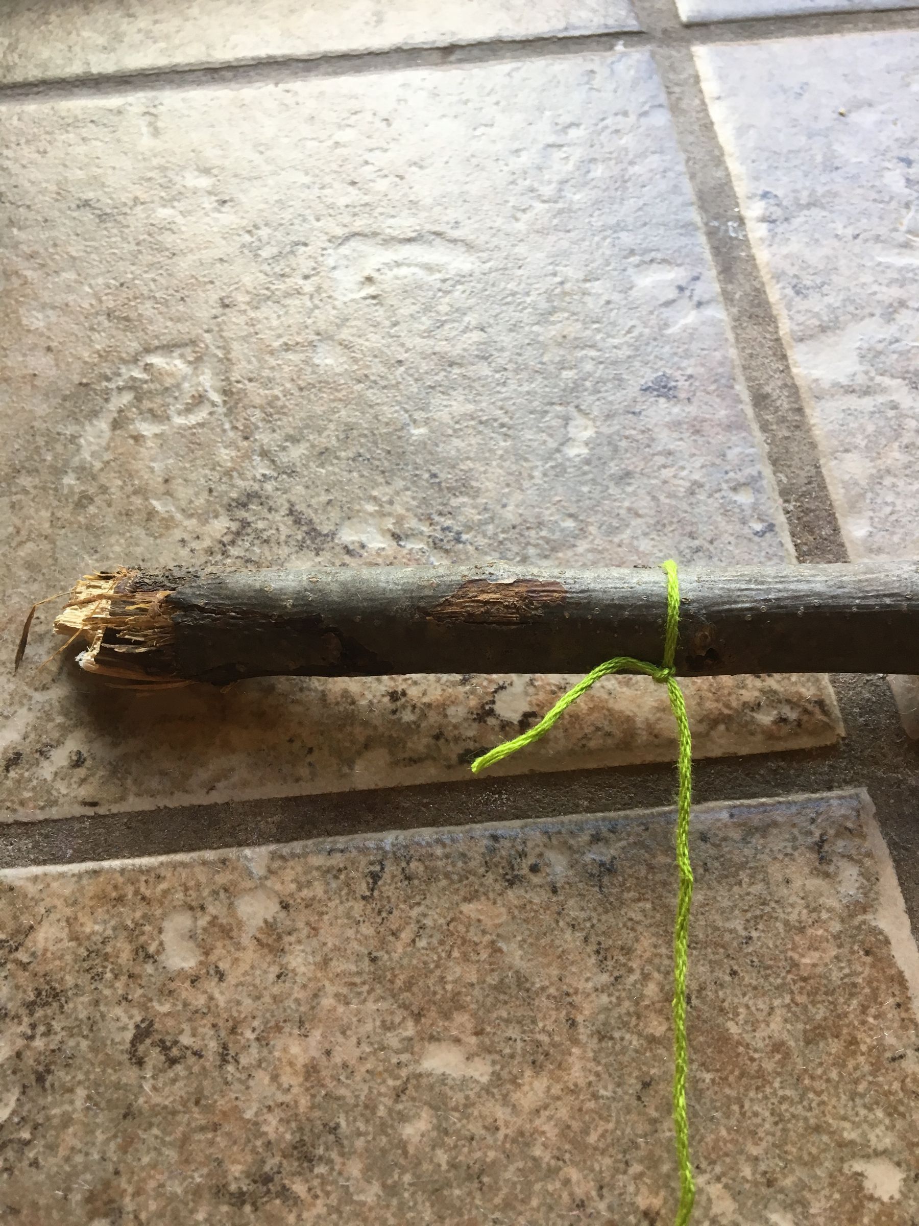 Pom-Pom Branch : 6 Steps (with Pictures) - Instructables