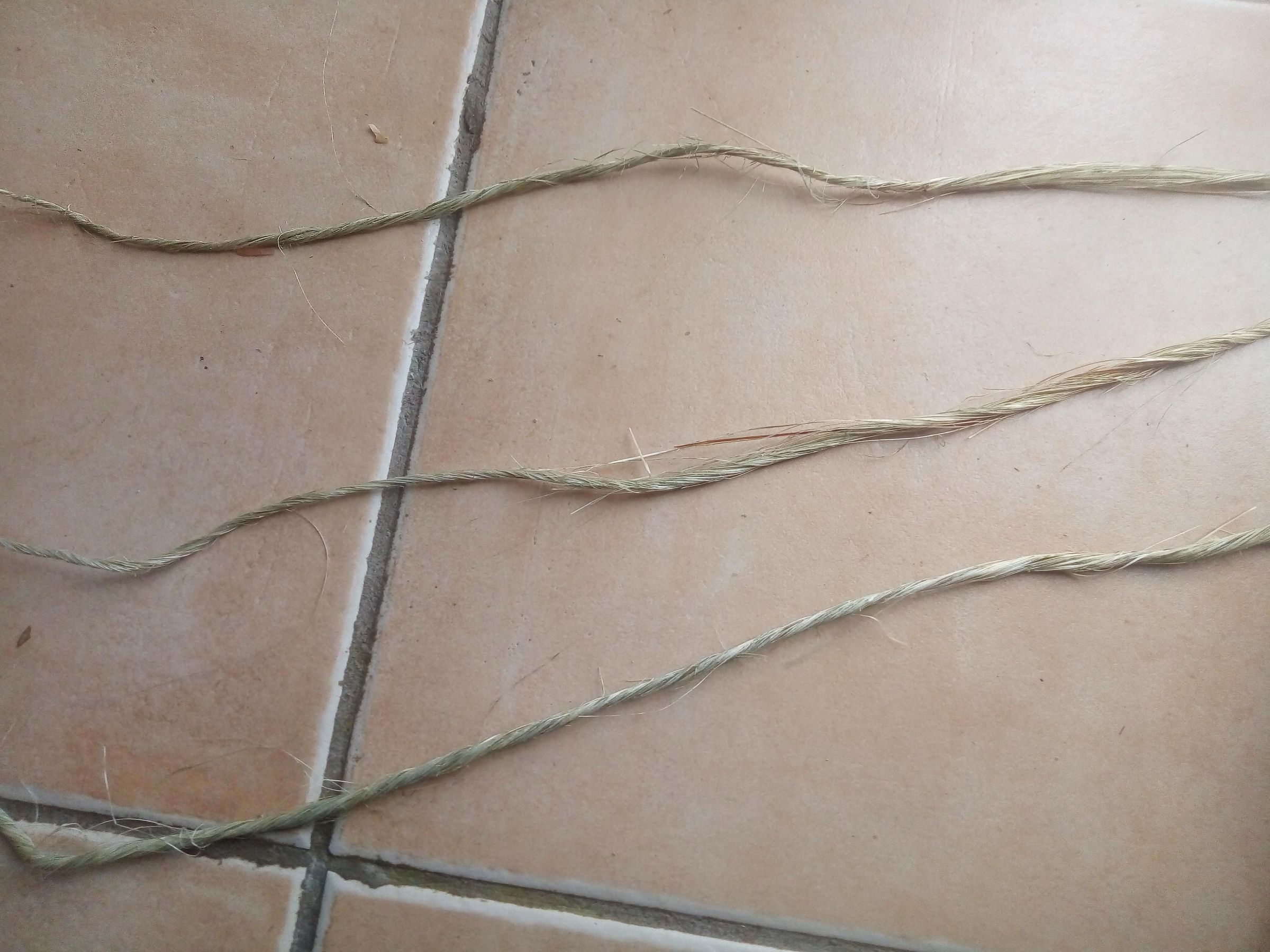 How to Make Rope / String With Natural Plant Fibers : 6 Steps (with ...