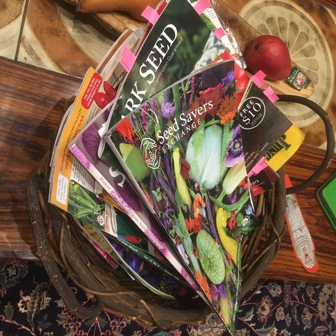 Indoor Seed Starting Table With Lights : 8 Steps (with Pictures ...