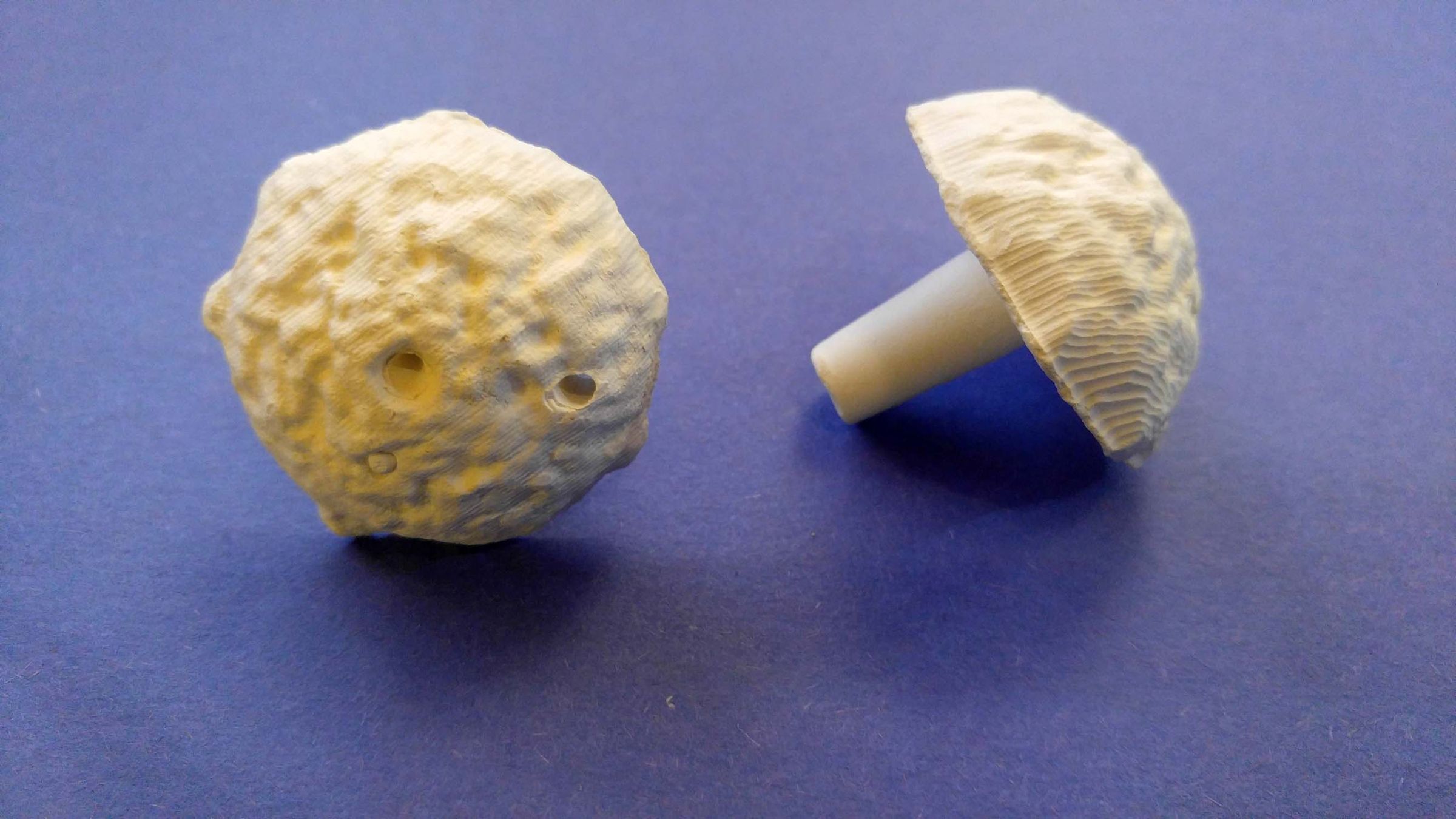 $5 DIY Magnetic Coral Frag Plug (mag-frag) for Reef Aquarium ...