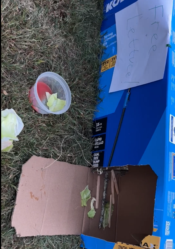 Easy Bunny Trap! : 12 Steps (with Pictures) - Instructables