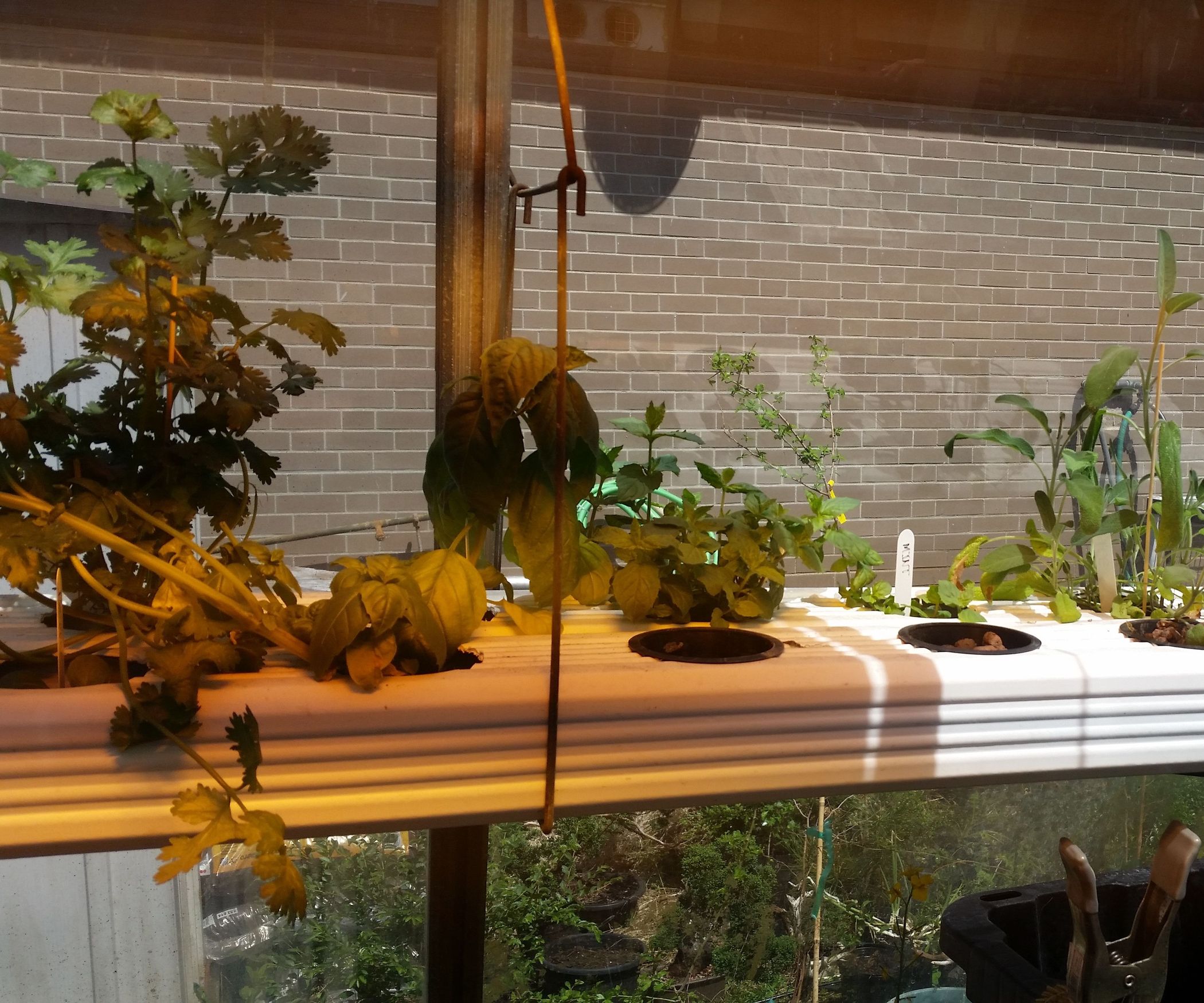 DIY Nutrient Film Technique (NFT) Hydroponic System! : 5 Steps (with ...