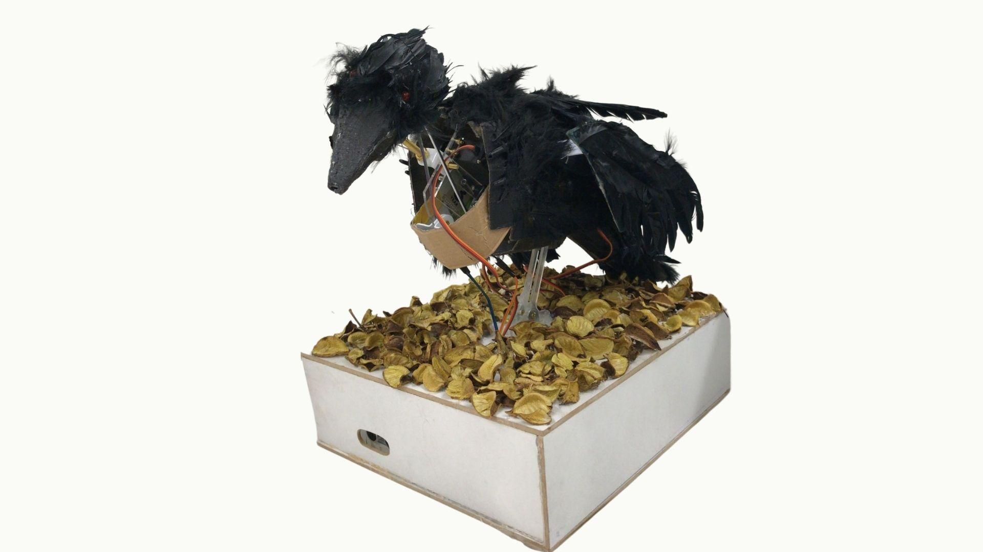 Magic Raven : 15 Steps - Instructables