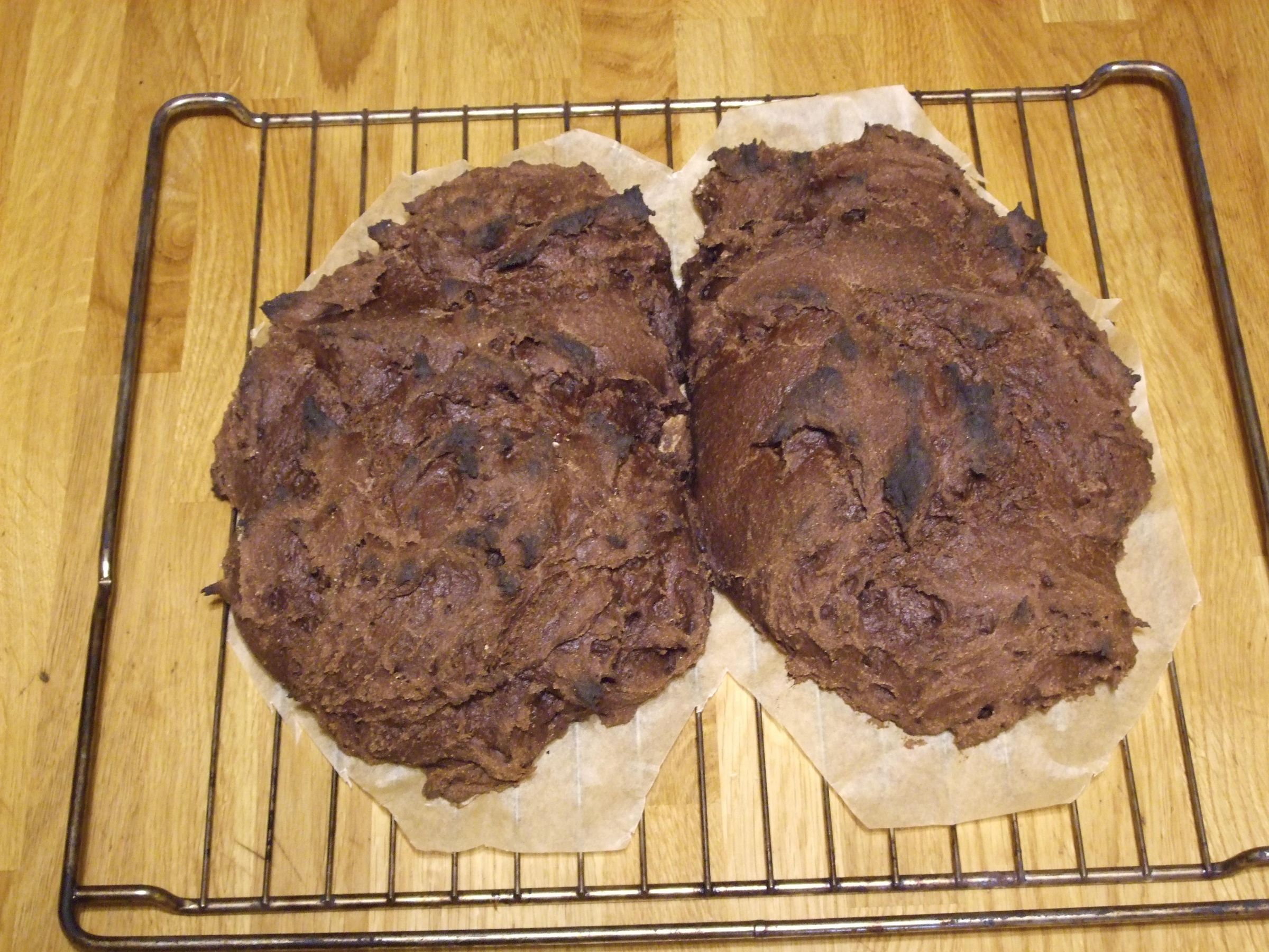 Vegan Gingerbread Made With Rye and Corn Flours, and Soy Protein ...
