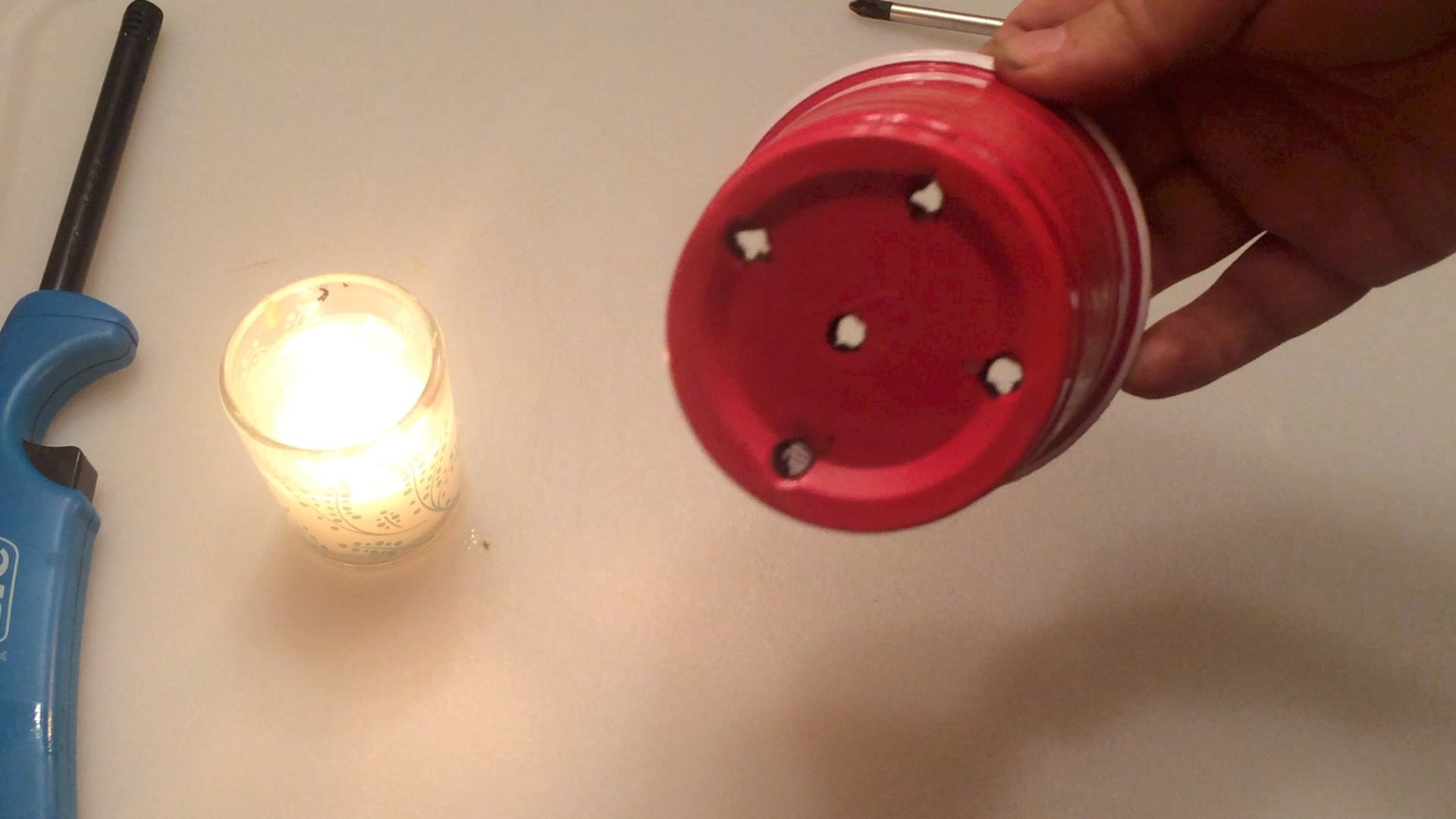 Transform Ordinary Solo Cups Into a Hybrid Hydroponic/Soil Plant ...