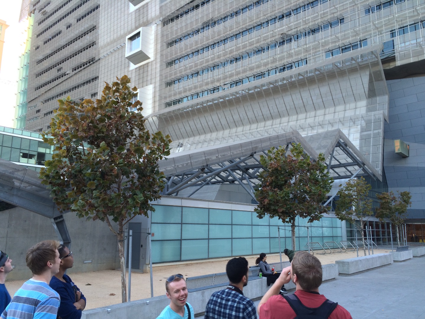 Tree Windscreen, San Francisco : 25 Steps - Instructables