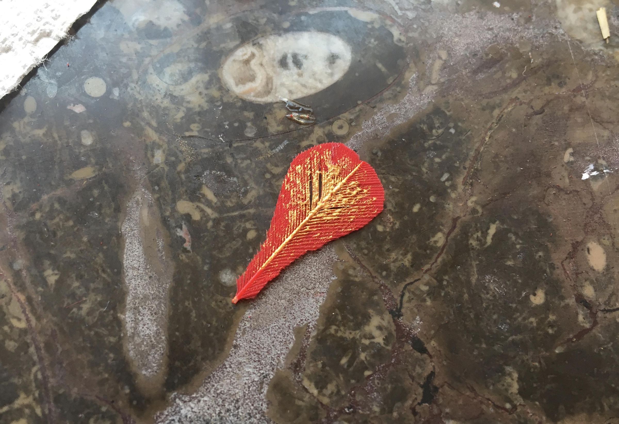 DIY Miniature Phoenix : 10 Steps (with Pictures) - Instructables