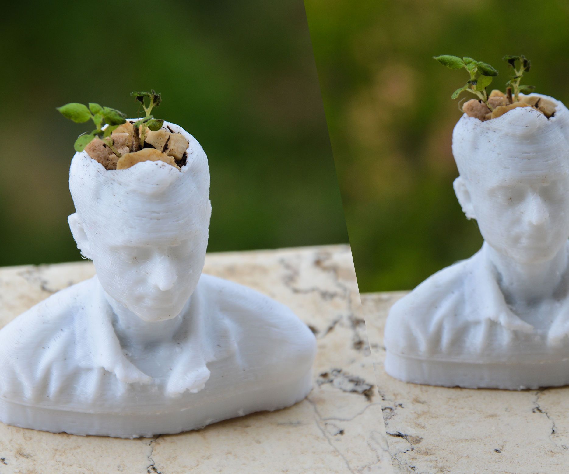 3D Printed Flower Pot : 4 Steps - Instructables