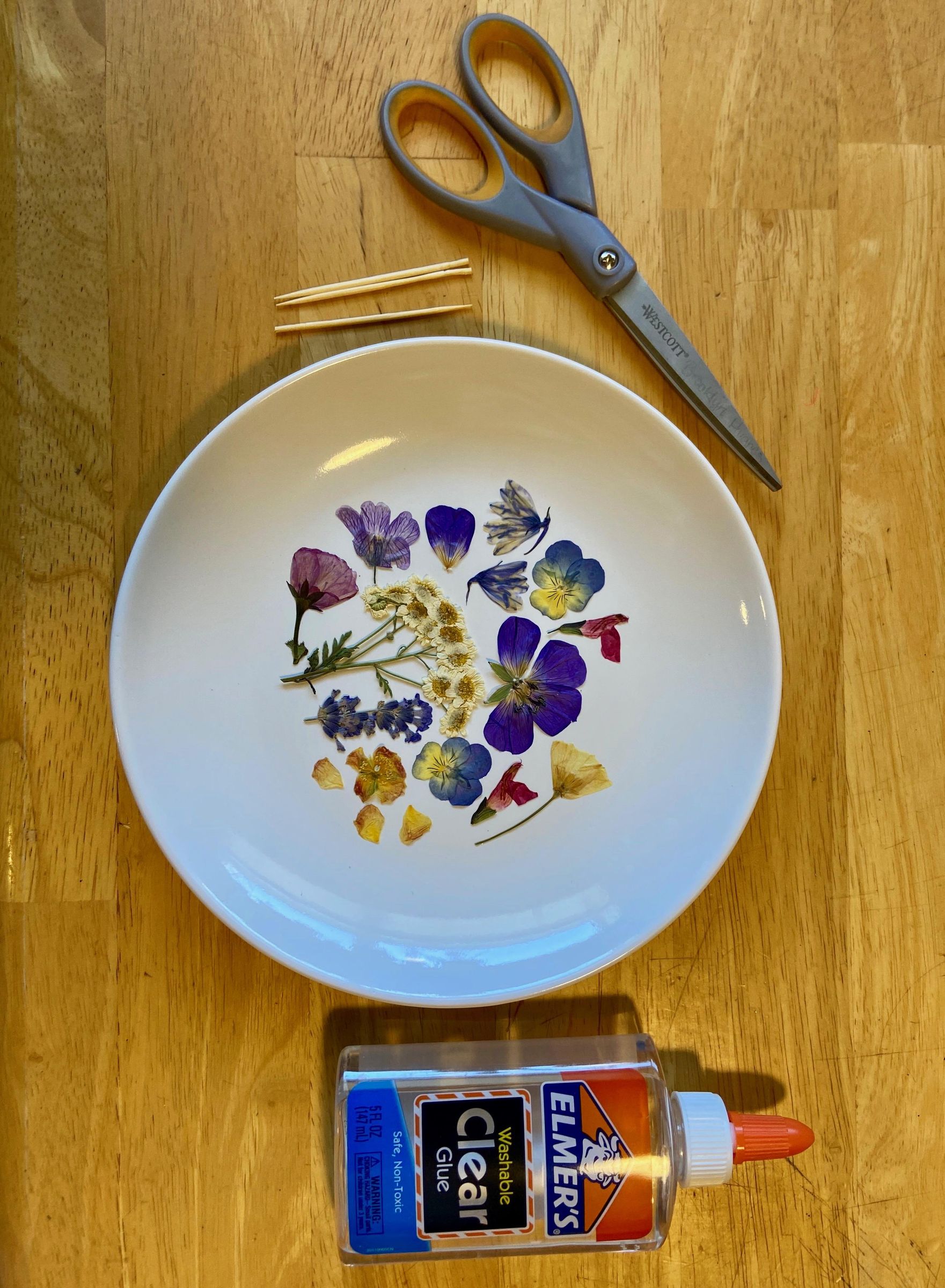 Pressed Flower Plates : 7 Steps (with Pictures) - Instructables
