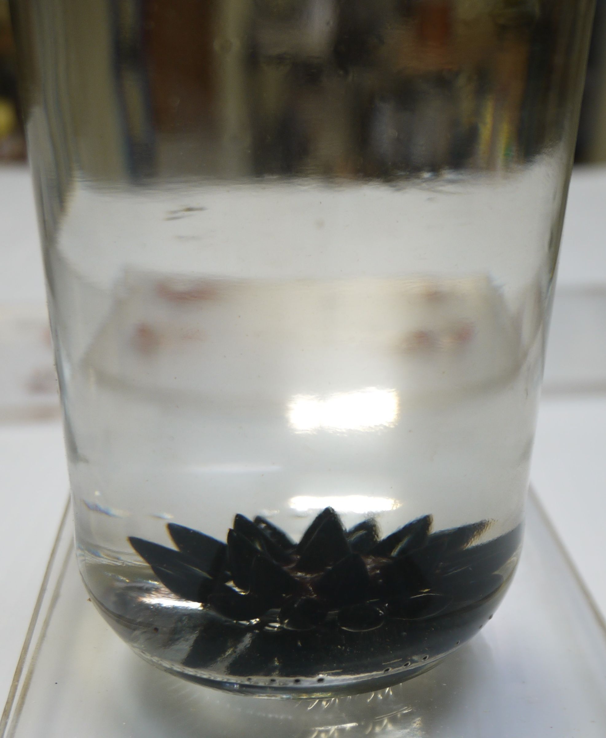 Really Beautiful Swimming Ferrofluids : 7 Steps (with Pictures ...