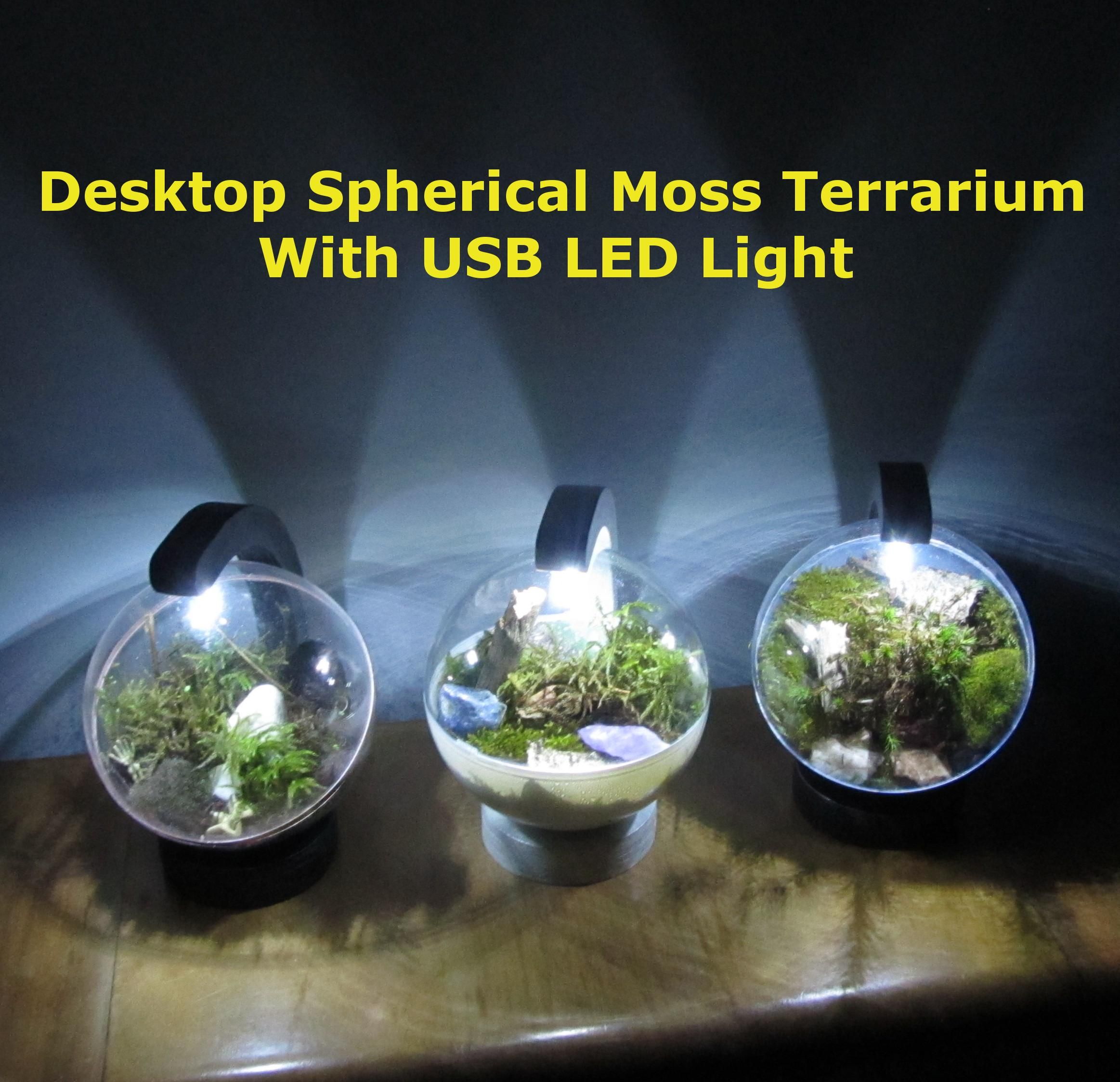 Desktop Spherical Moss Terrarium : 8 Steps (with Pictures) - Instructables