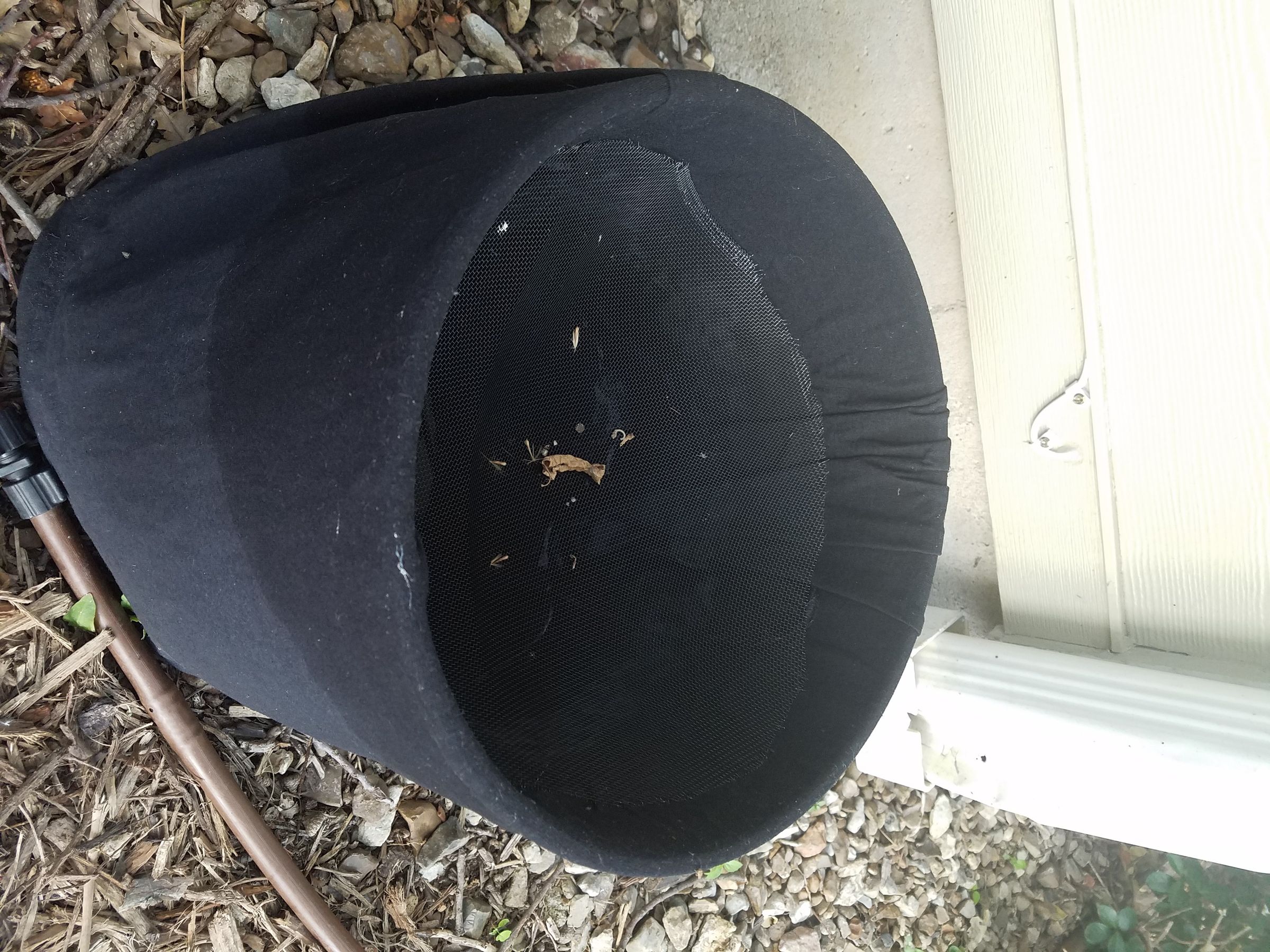 Mosquito Killing Ovitrap : 11 Steps (with Pictures) - Instructables