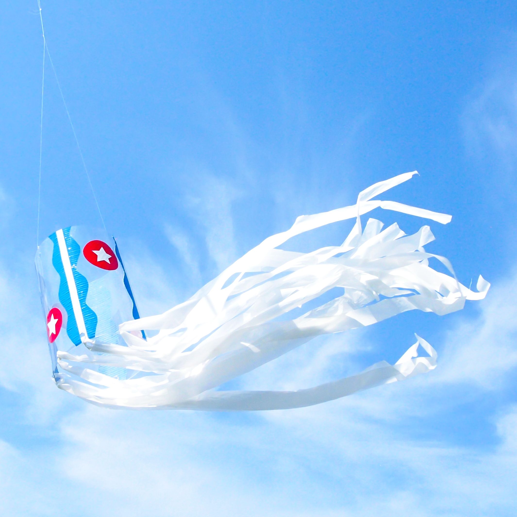 Recycled Plastic Bottle Windsock : 6 Steps (with Pictures) - Instructables