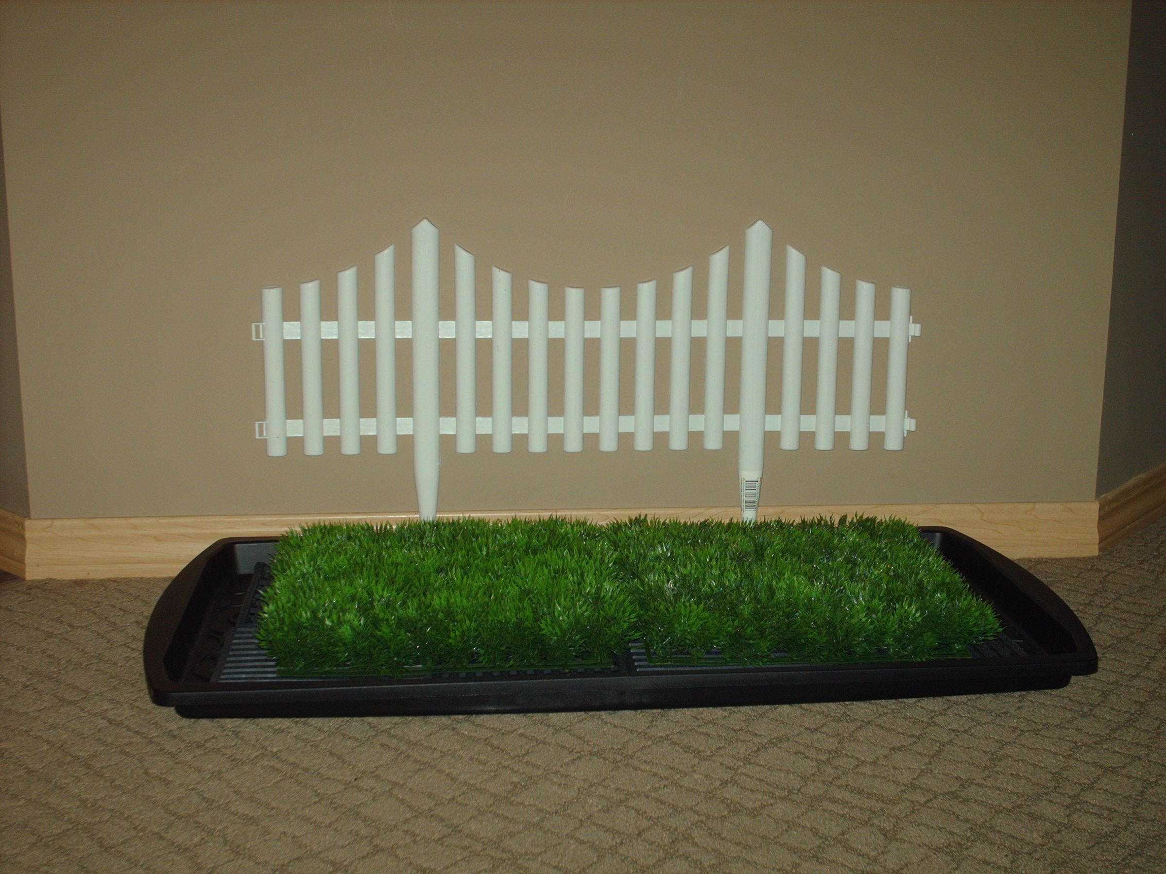 Homemade Doggy Potty : 3 Steps - Instructables