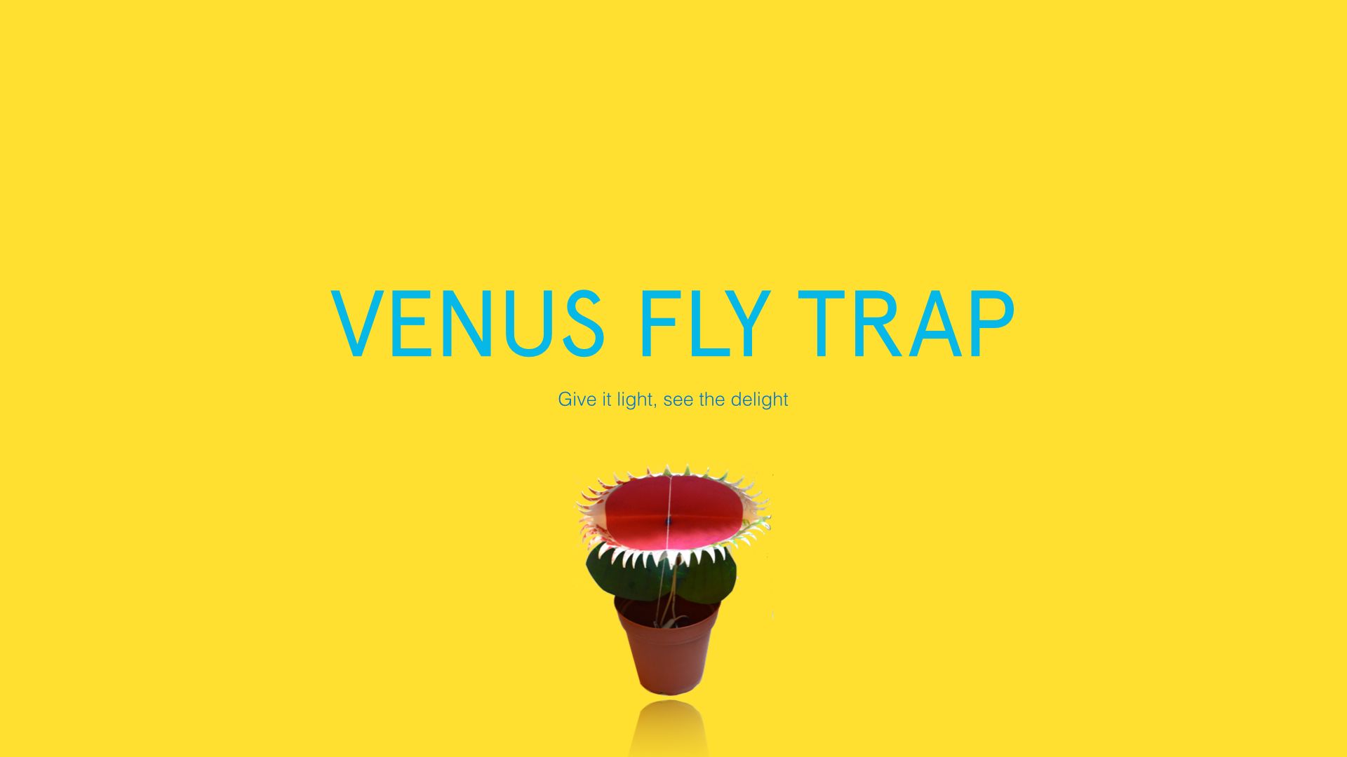 Venus Fly Trap Toy Powered by Intel Edison : 11 Steps (with Pictures ...