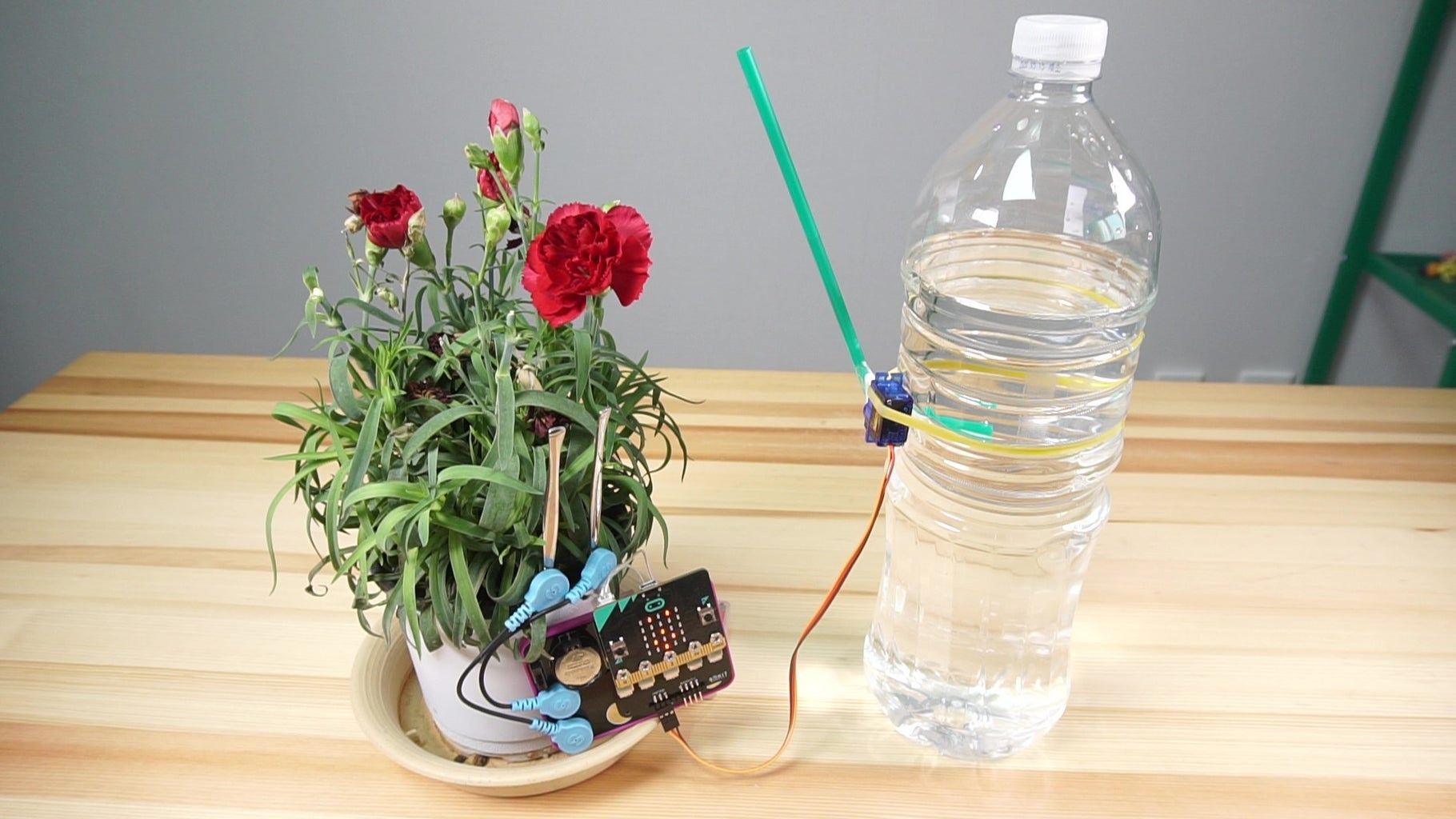 A Simple Automatic Watering System microbit Instructables a-simple-automatic-watering-system-microbit-instructables