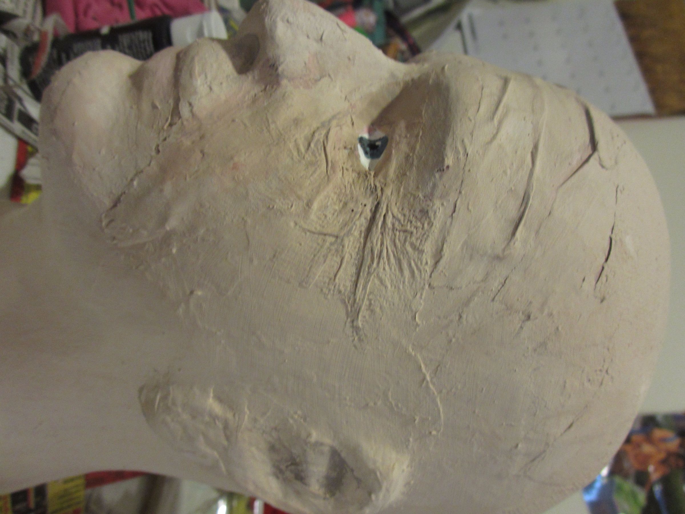 Styrofoam Sculpture Human Head