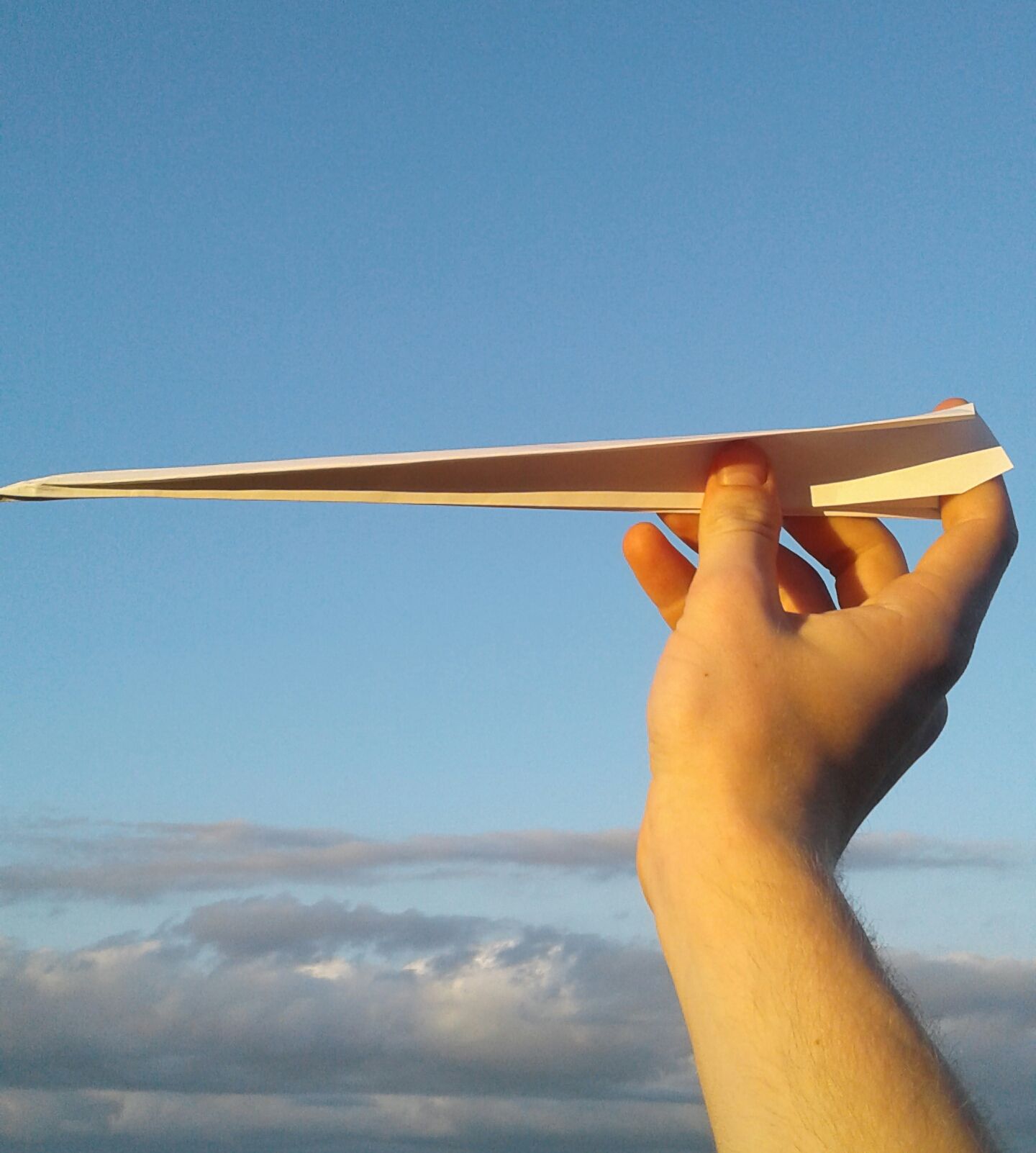 The Simplest Paper Airplane : 5 Steps (with Pictures) - Instructables