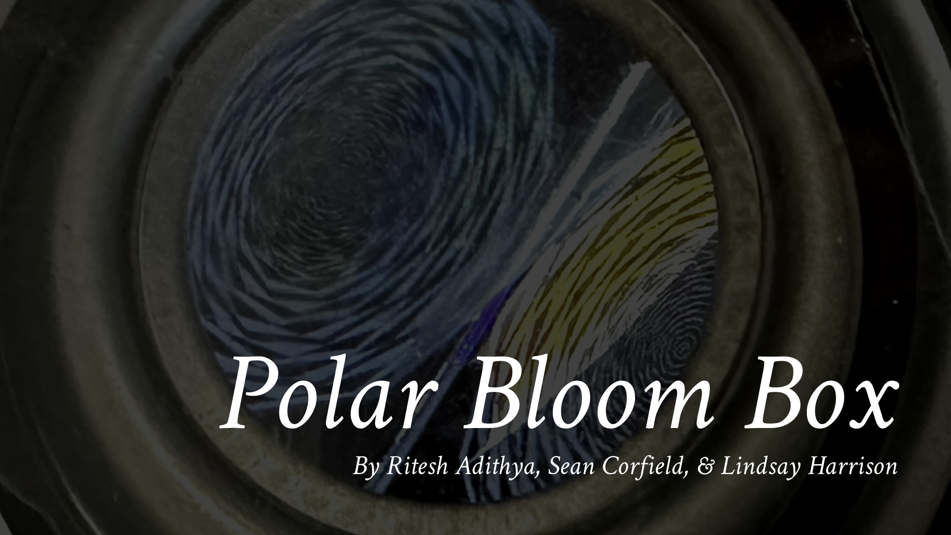 Polar Bloom Box: Adjustable Kaleidoscope-Inspired Box of Polarized ...