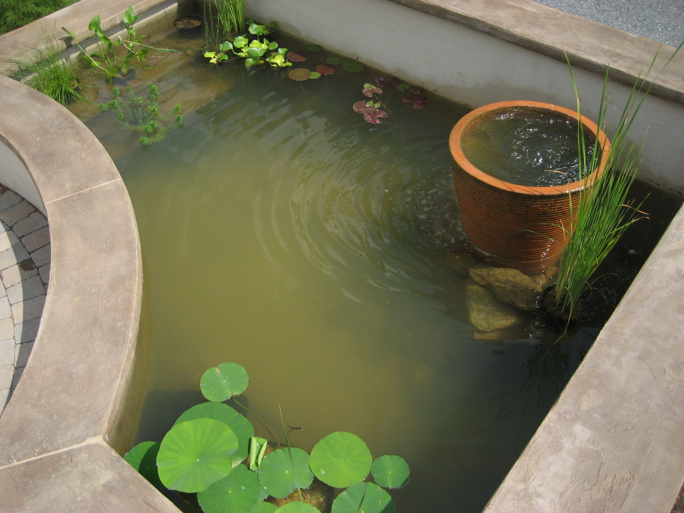 The Ultimate Koi Pond : 15 Steps (with Pictures) - Instructables