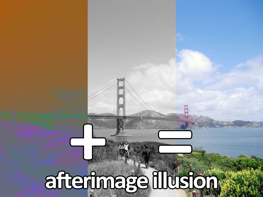 Afterimage Illusion : 5 Steps (with Pictures) - Instructables
