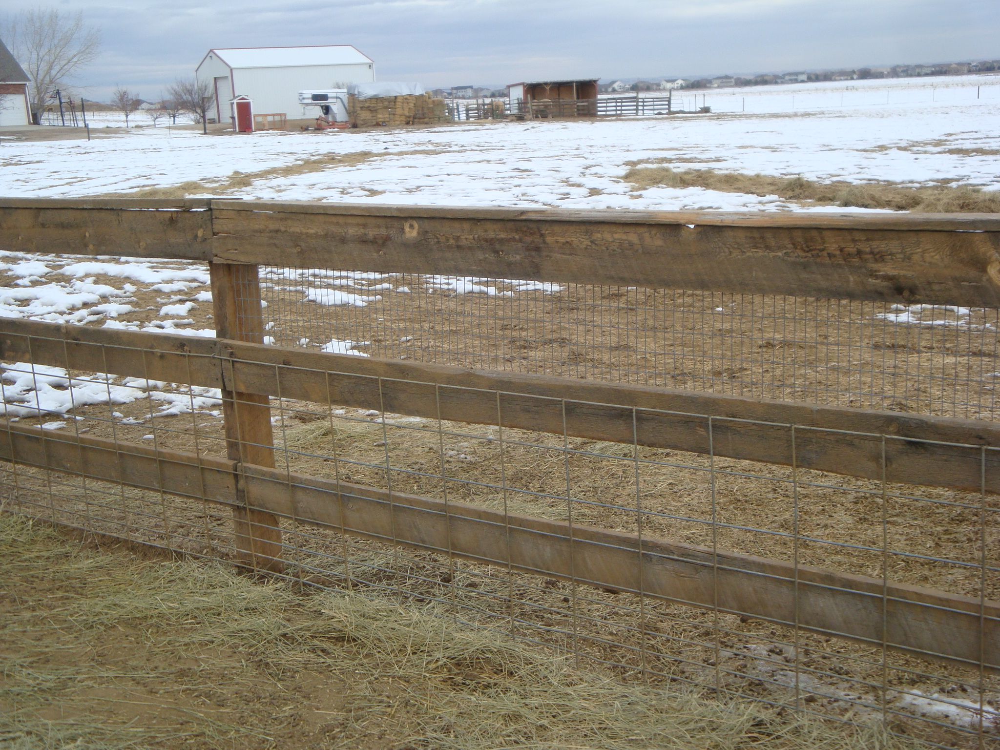 How to Care for Fainting Goats : 5 Steps - Instructables