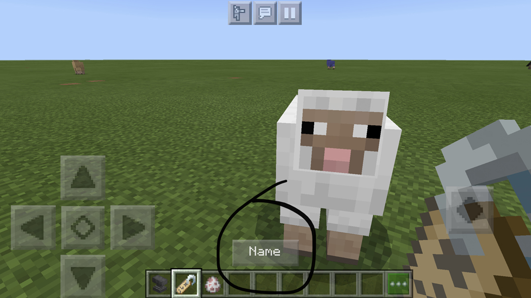 Rainbow Color-Changing Sheep in Minecraft : 18 Steps - Instructables