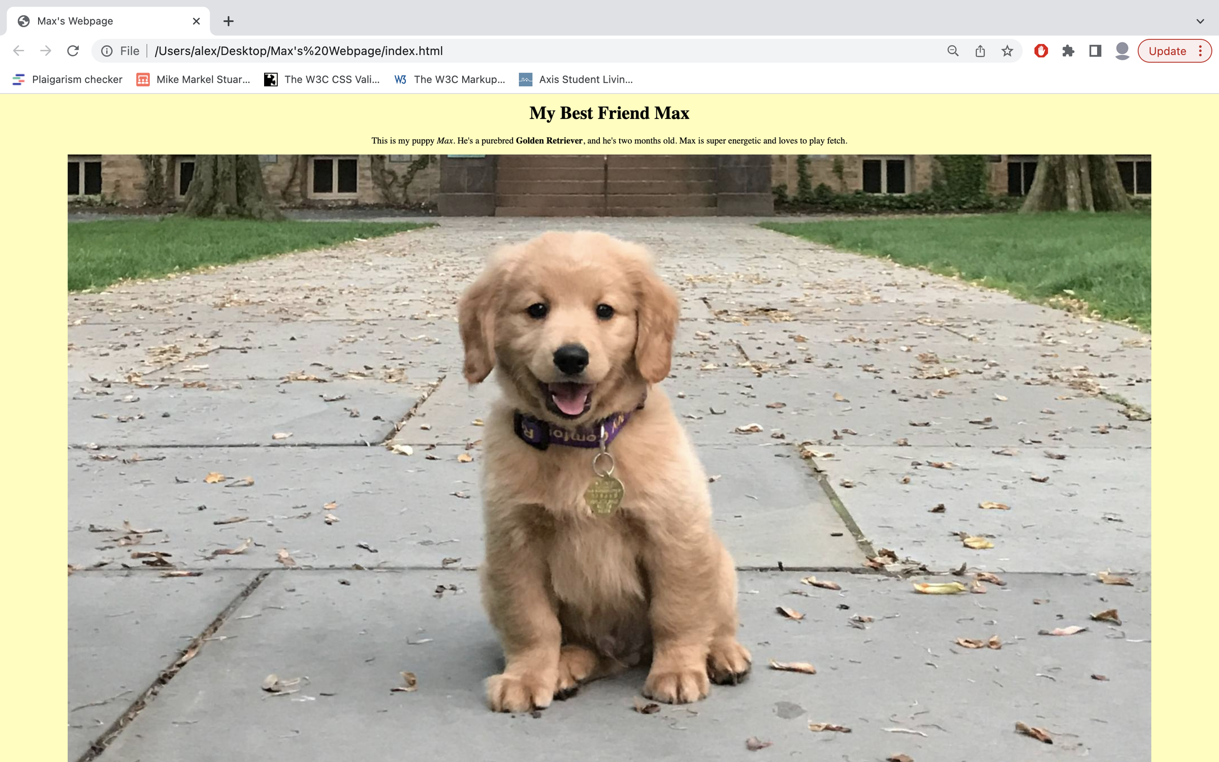 Designing a Simple Webpage Using HTML and CSS : 10 Steps - Instructables