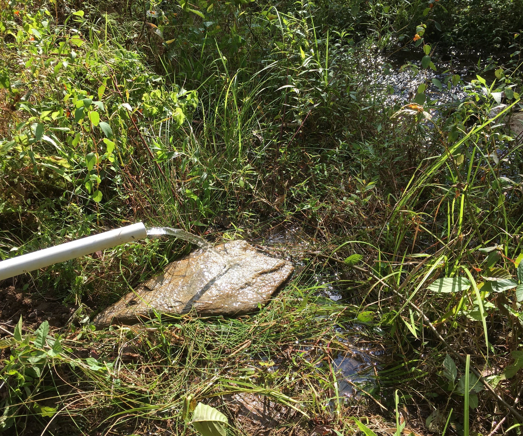 Spring Water Collection System : 16 Steps (with Pictures) - Instructables