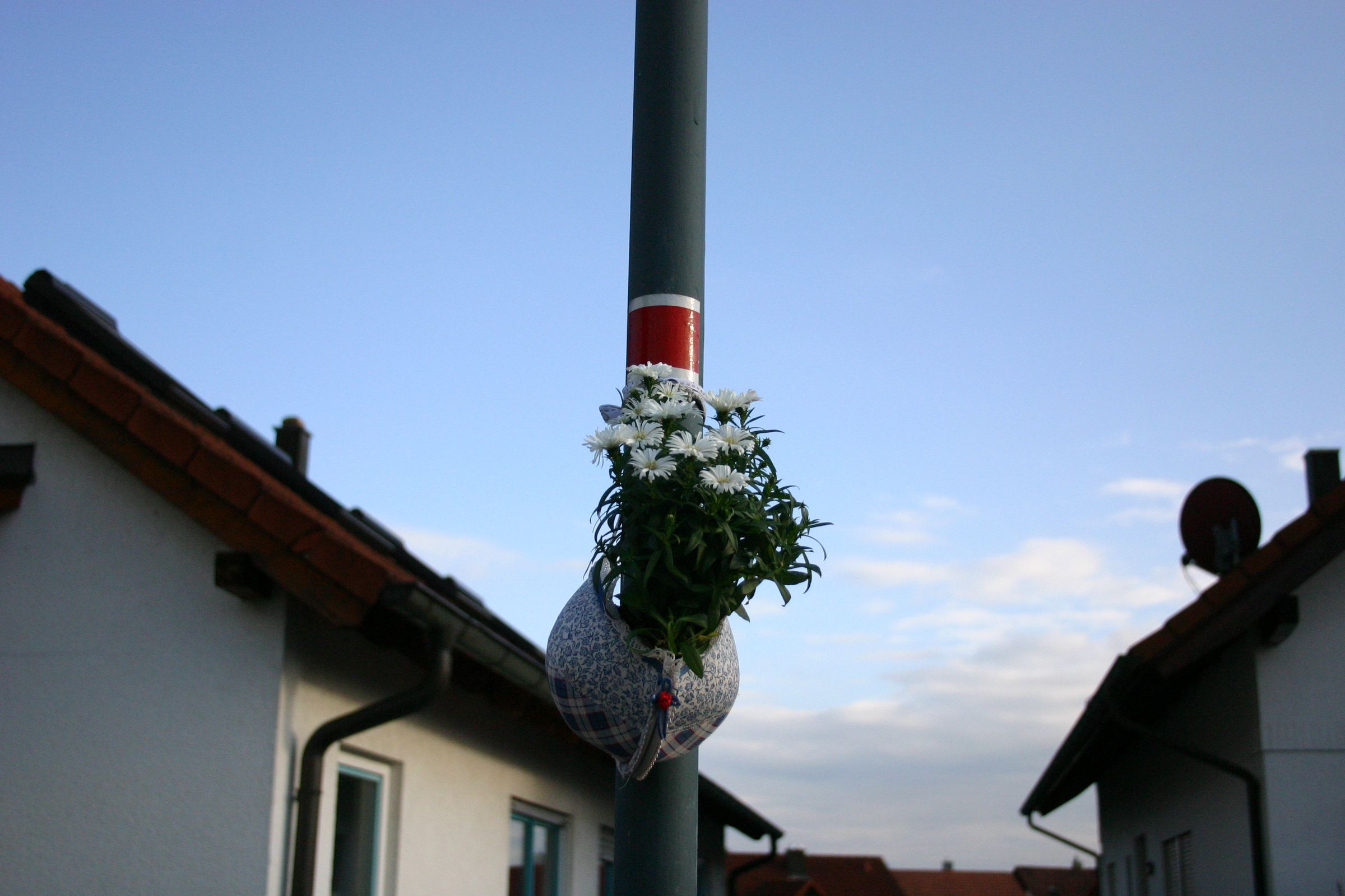 Guerilla Gardening With a Bra : 6 Steps (with Pictures) - Instructables