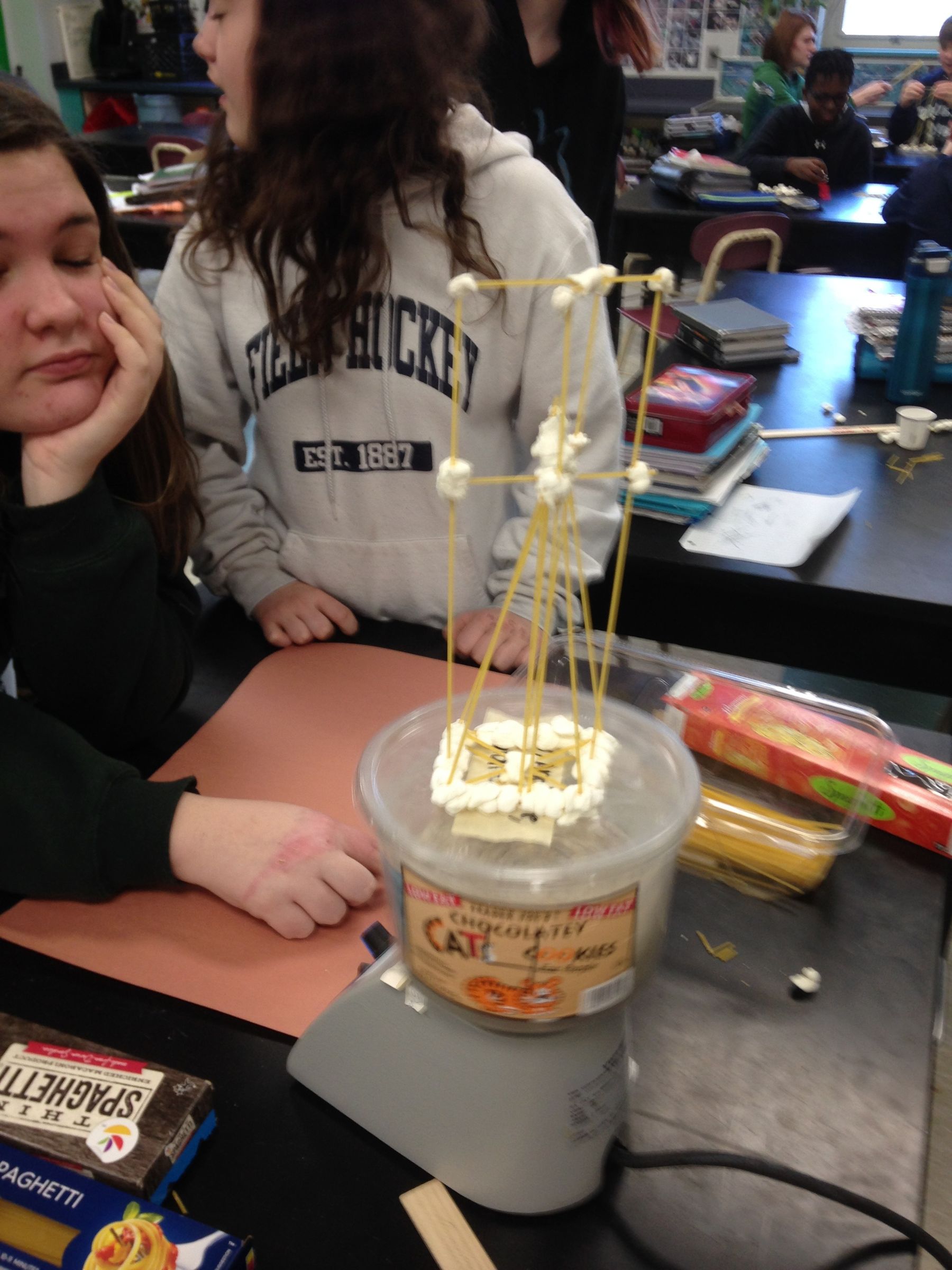 Spaghetti, Marshmallows, and Earthquake Preparedness : 5 Steps (with ...
