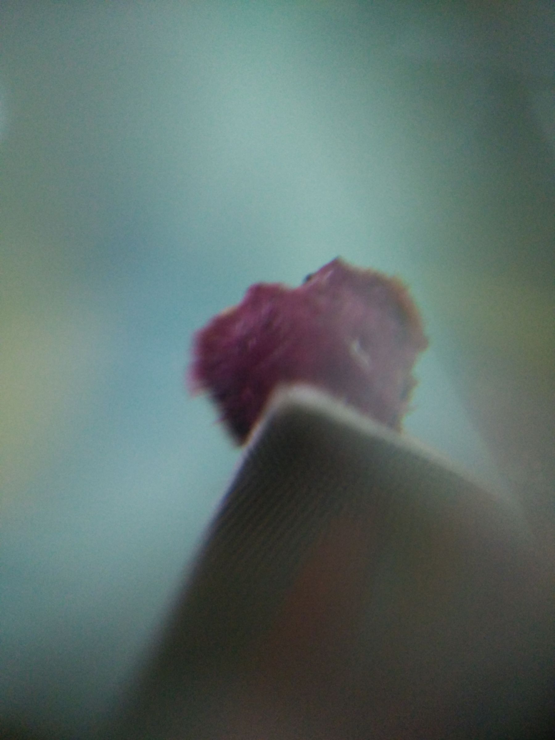 Gambit Exploding Cards : 5 Steps - Instructables