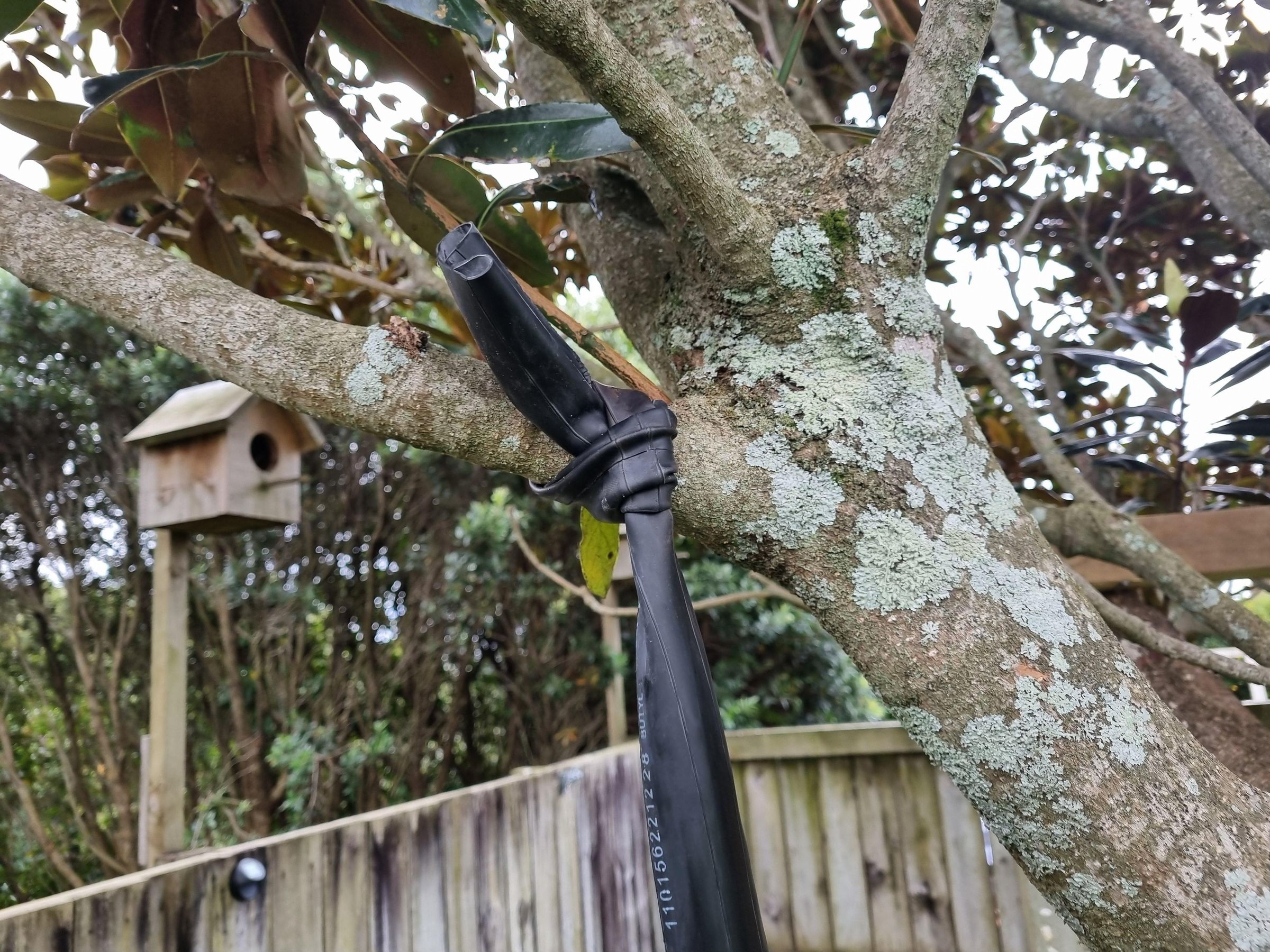 Tree Kangaroo Dog Toy : 4 Steps (with Pictures) - Instructables