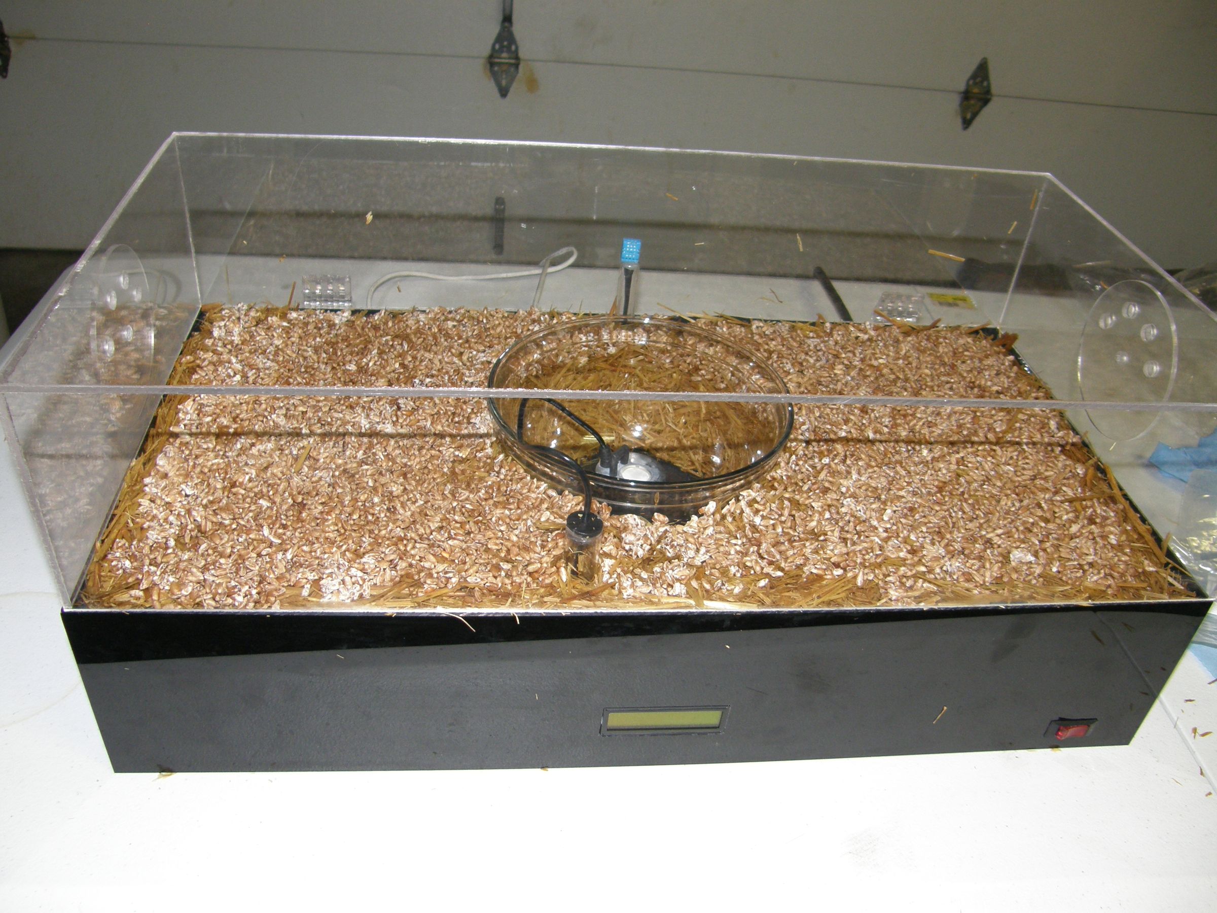 Experimenting With Mushrooms! : 11 Steps - Instructables