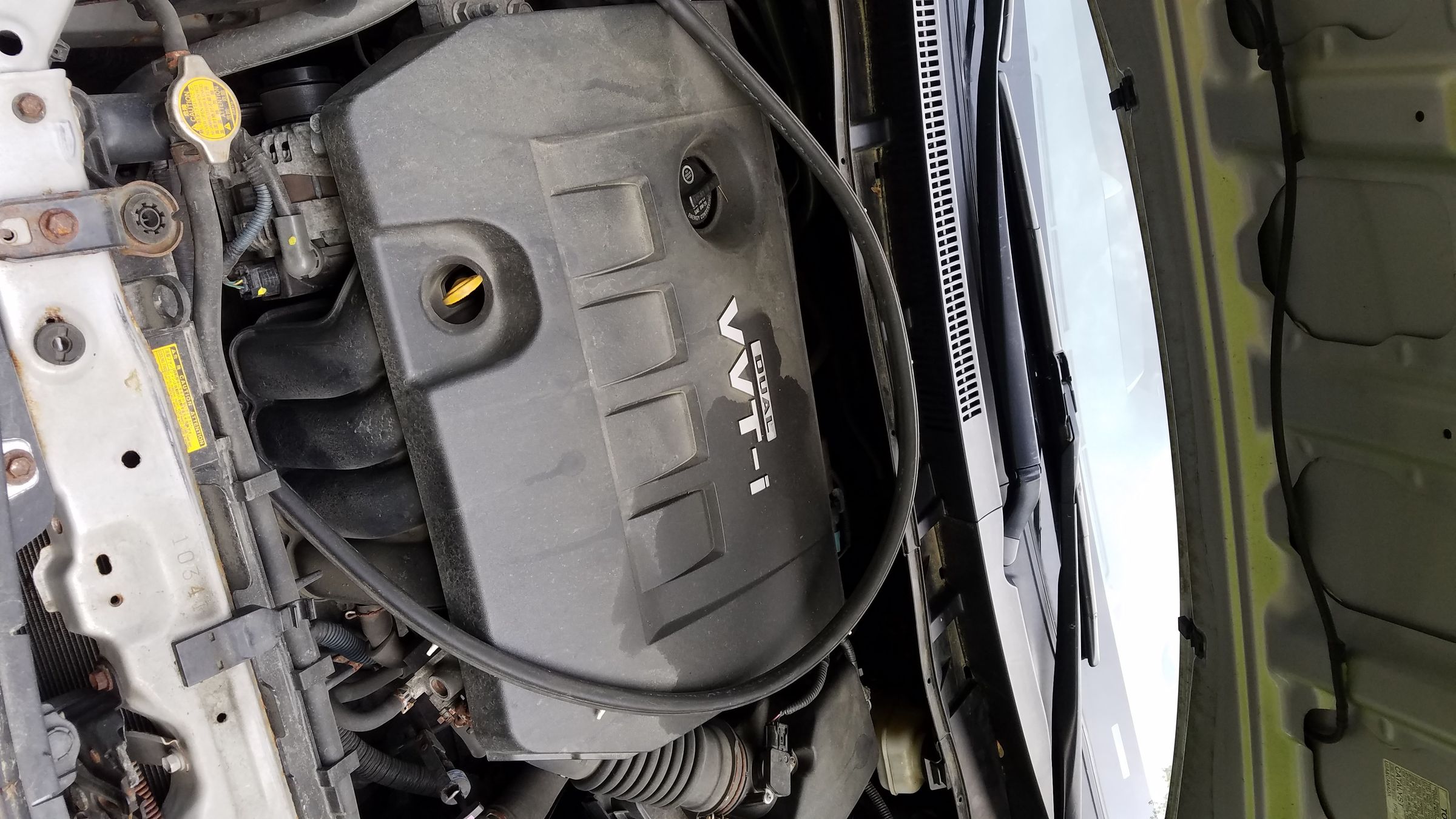 Mouse-Proofing a Toyota Corolla : 6 Steps - Instructables