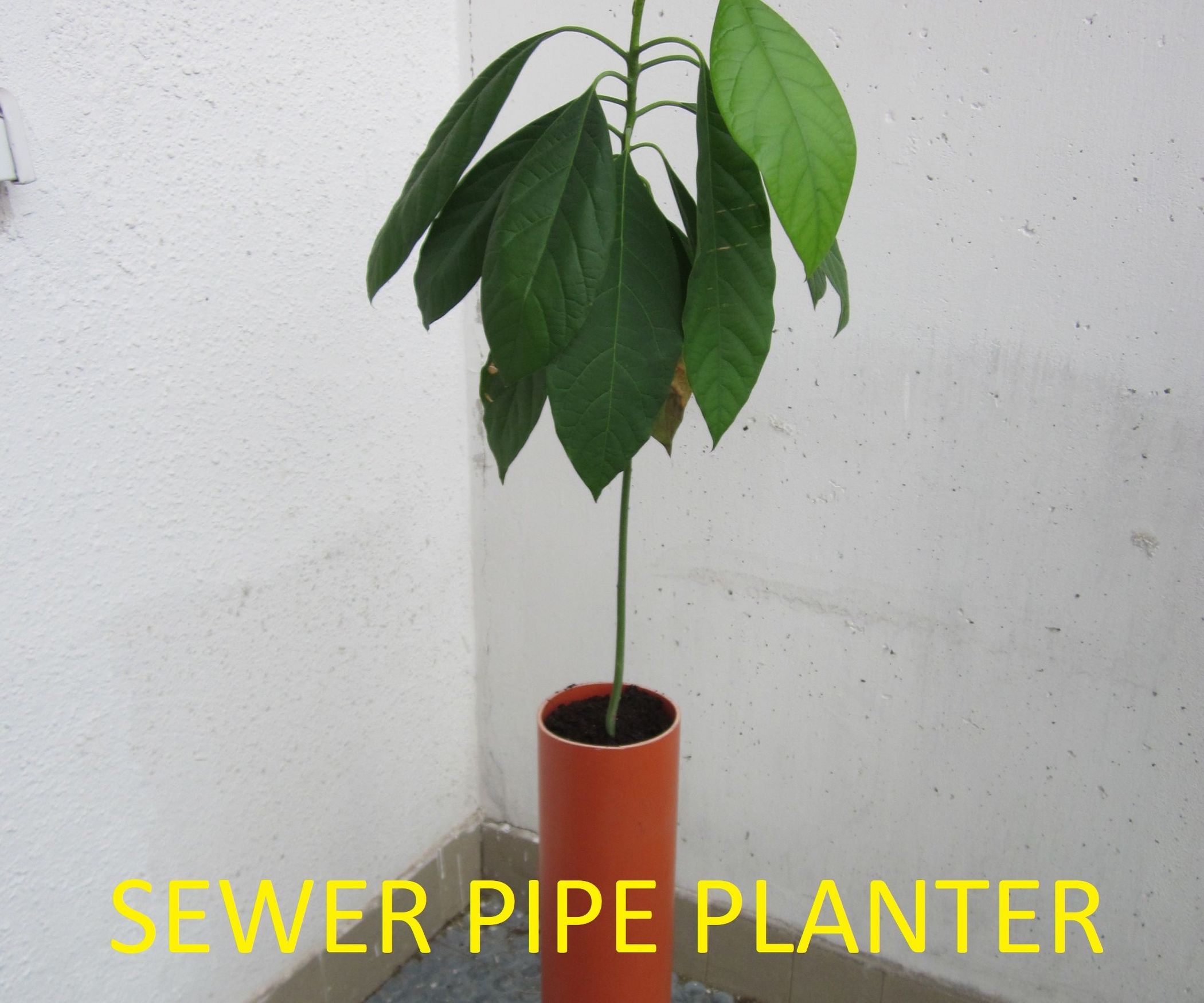 Basic Sewer Pipe Planter : 4 Steps - Instructables