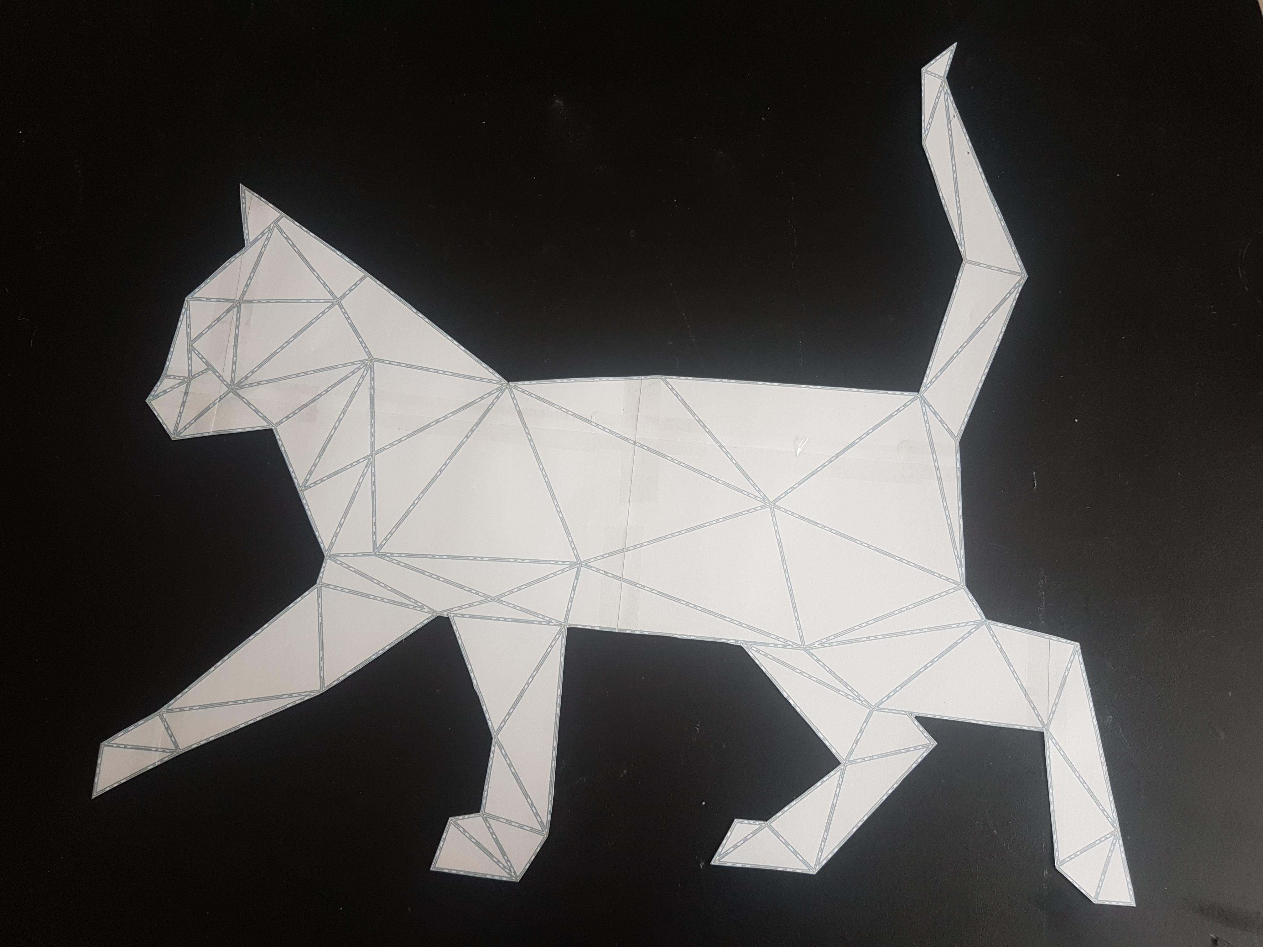 Polygon Cat With Acrylic : 12 Steps (with Pictures) - Instructables