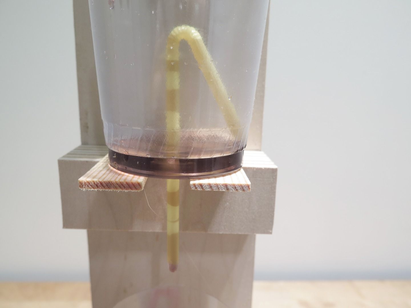 Siphon Chain Reaction : 7 Steps (with Pictures) - Instructables