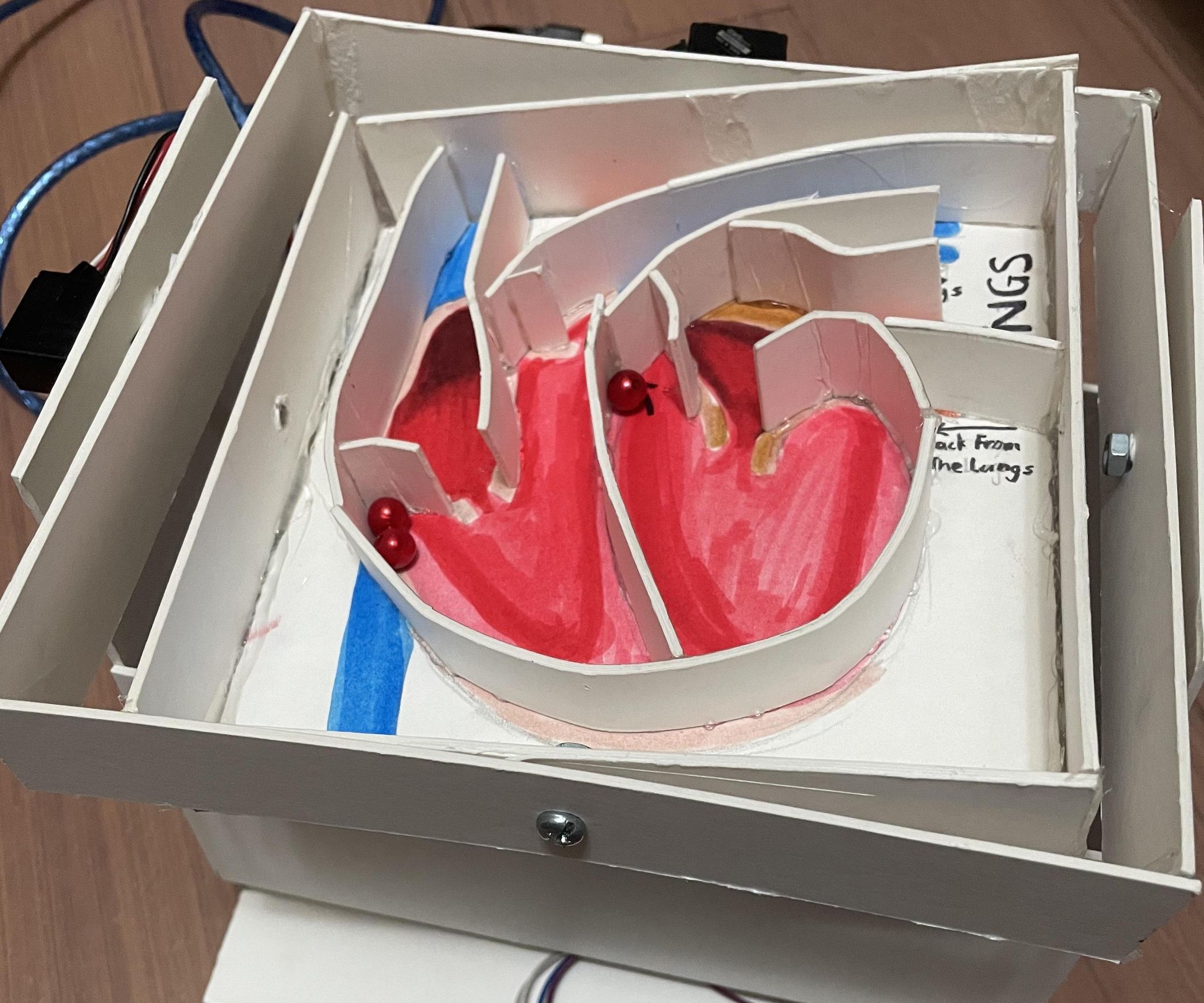 Heart Structure Learning Game : 8 Steps - Instructables