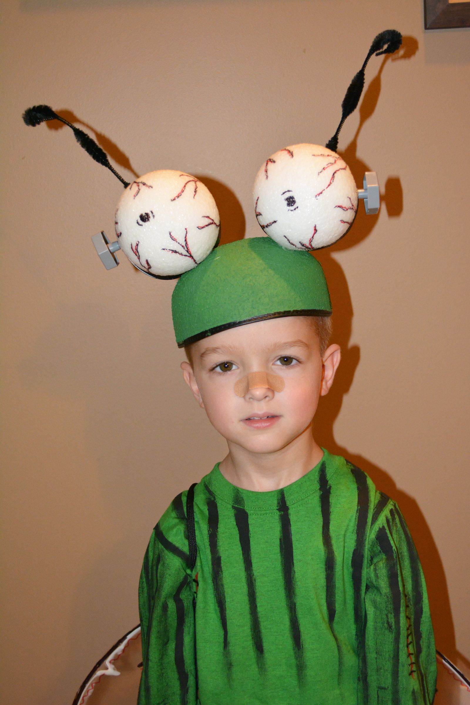 Easy 'Fly Guy' Book Series Kids Halloween Costume - Frankenfly : 6 ...