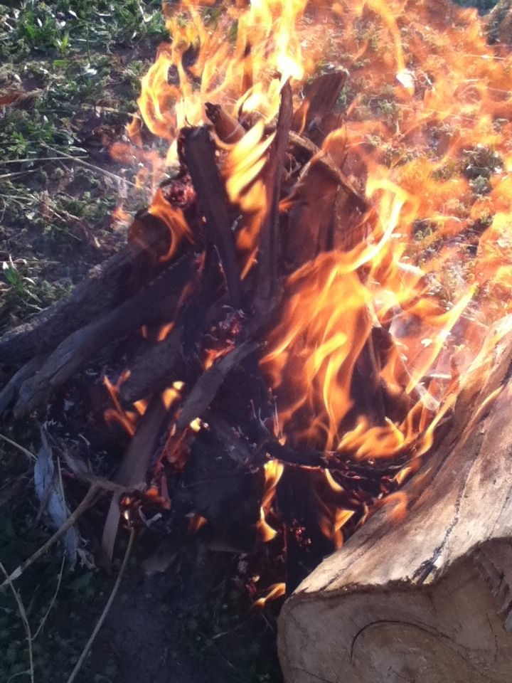 A Successful Fire : 5 Steps - Instructables