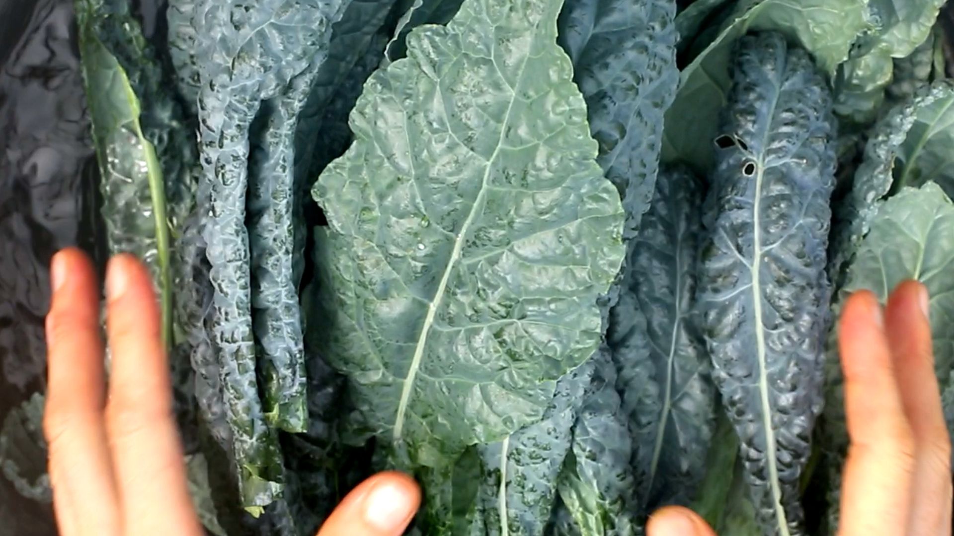 How to Prep Kale : 7 Steps - Instructables