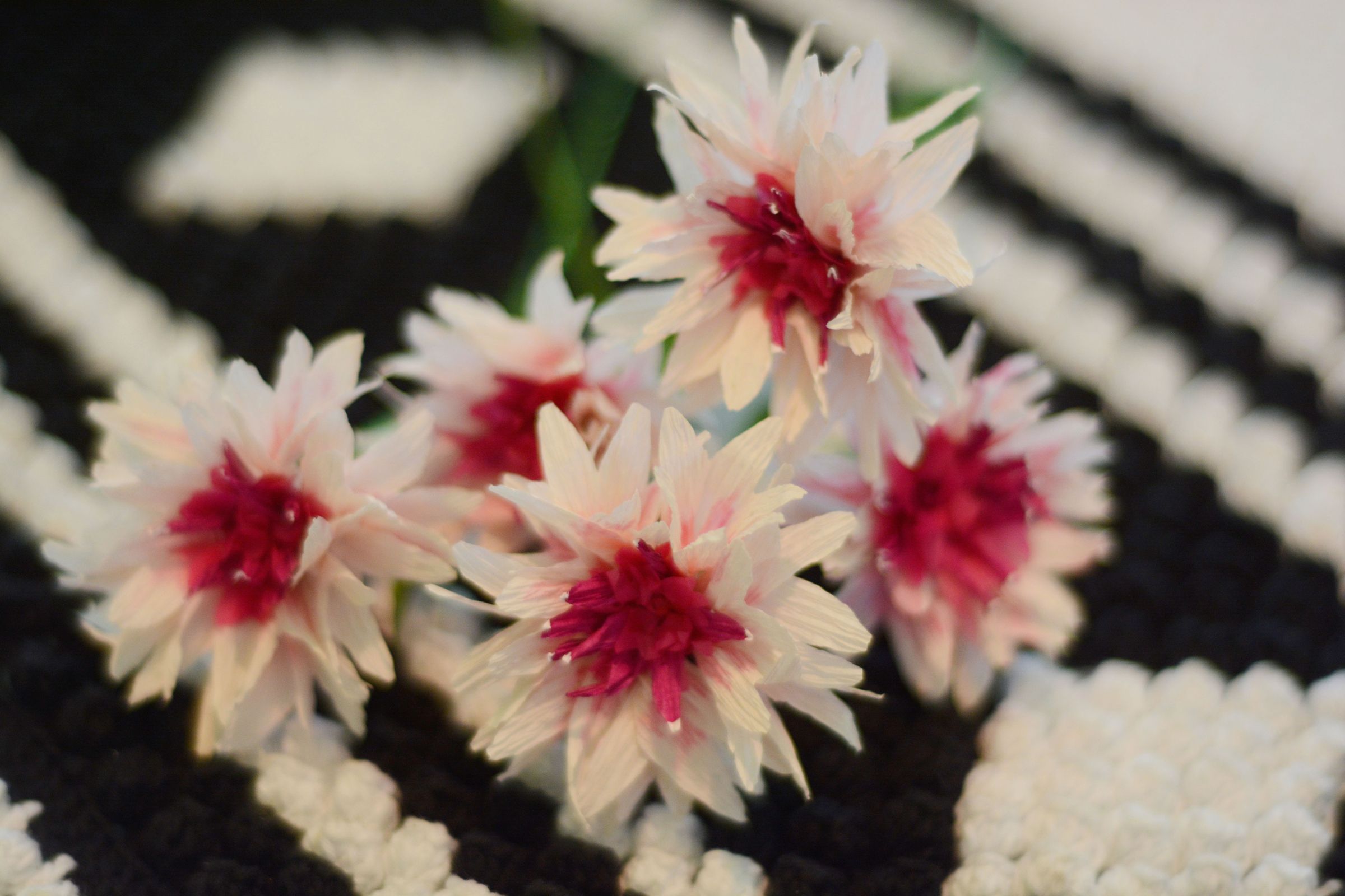 DIY Paper Flowers Bouquet for Valentine's Day : 9 Steps (with Pictures ...